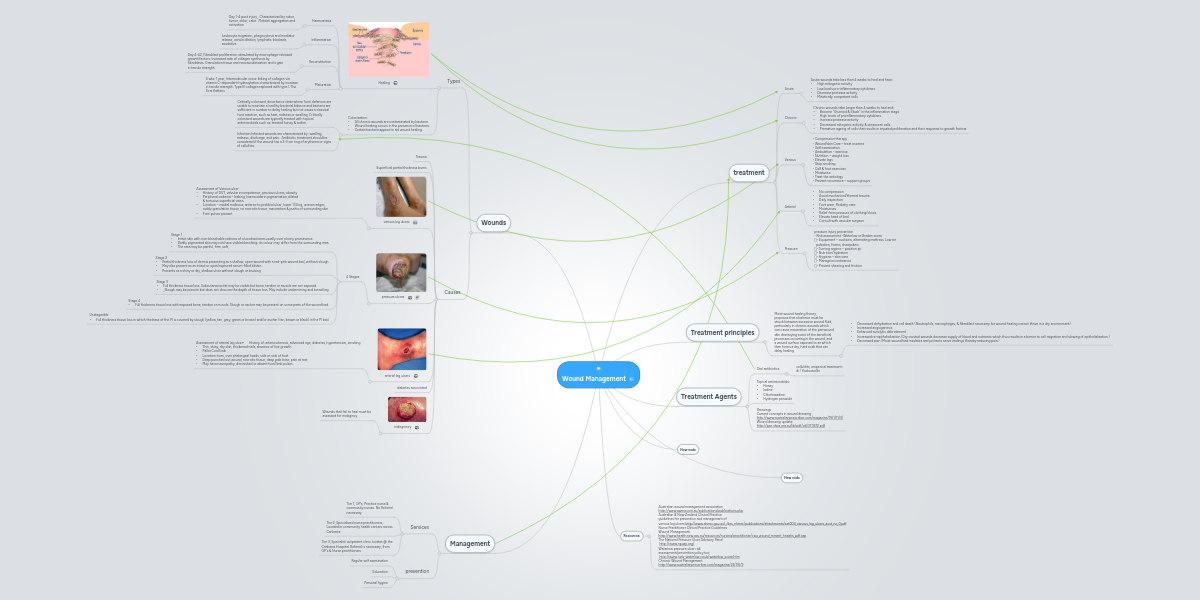 Wound Management | MindMeister Mind Map