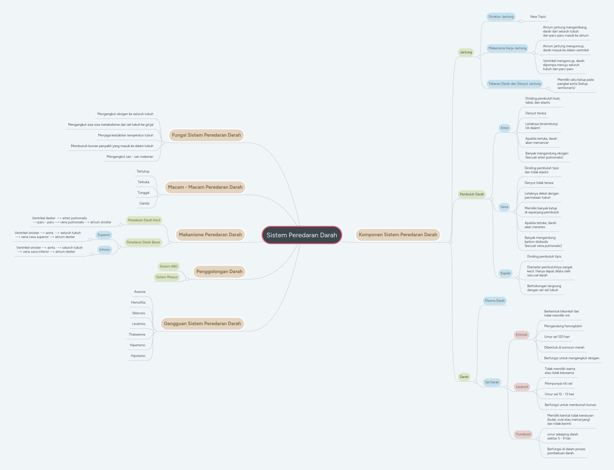 Sistem Peredaran Darah | MindMeister Mind map