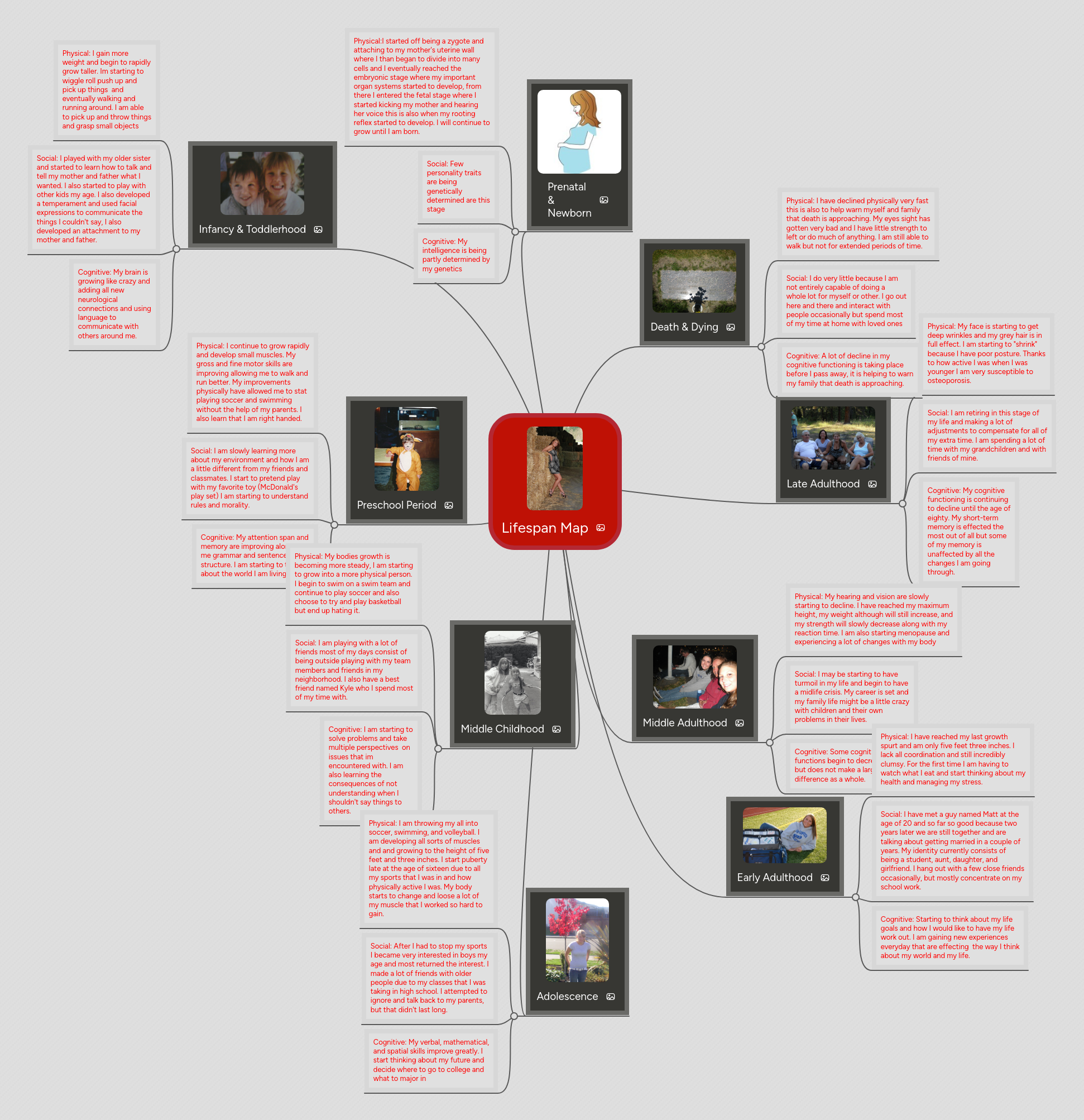 Lifespan Map | MindMeister Mind Map