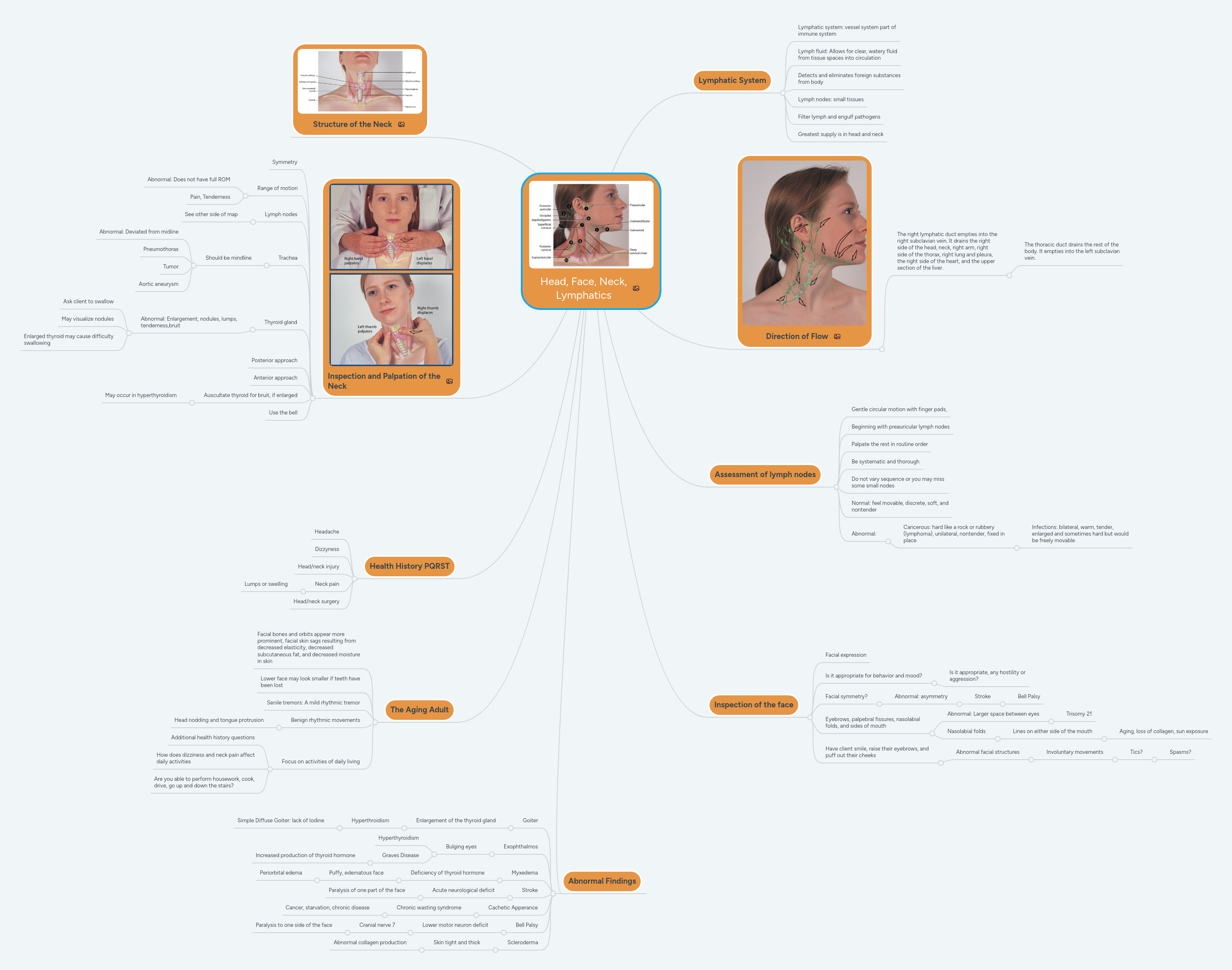 Head, Face, Neck, Lymphatics | MindMeister Mind map