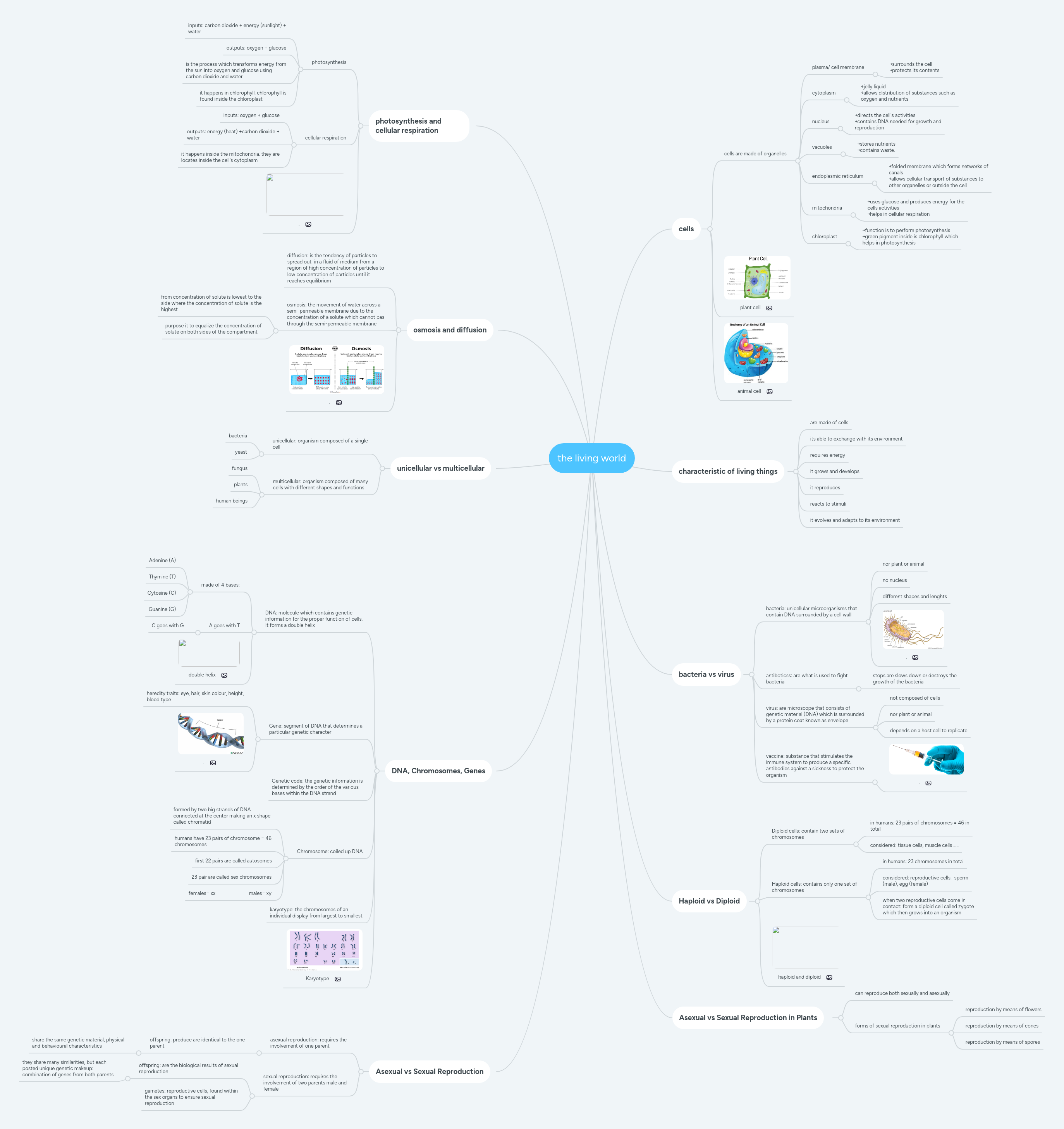 the living world | MindMeister Mind Map