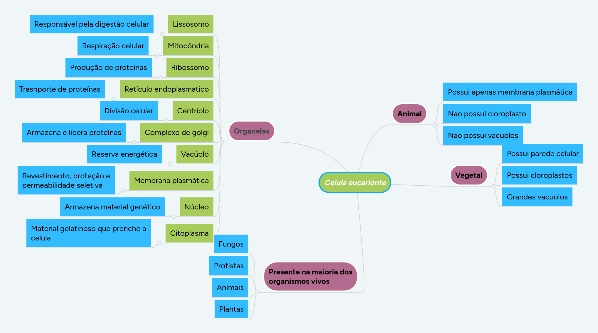 Celula eucarionte | MindMeister Mapa Mental