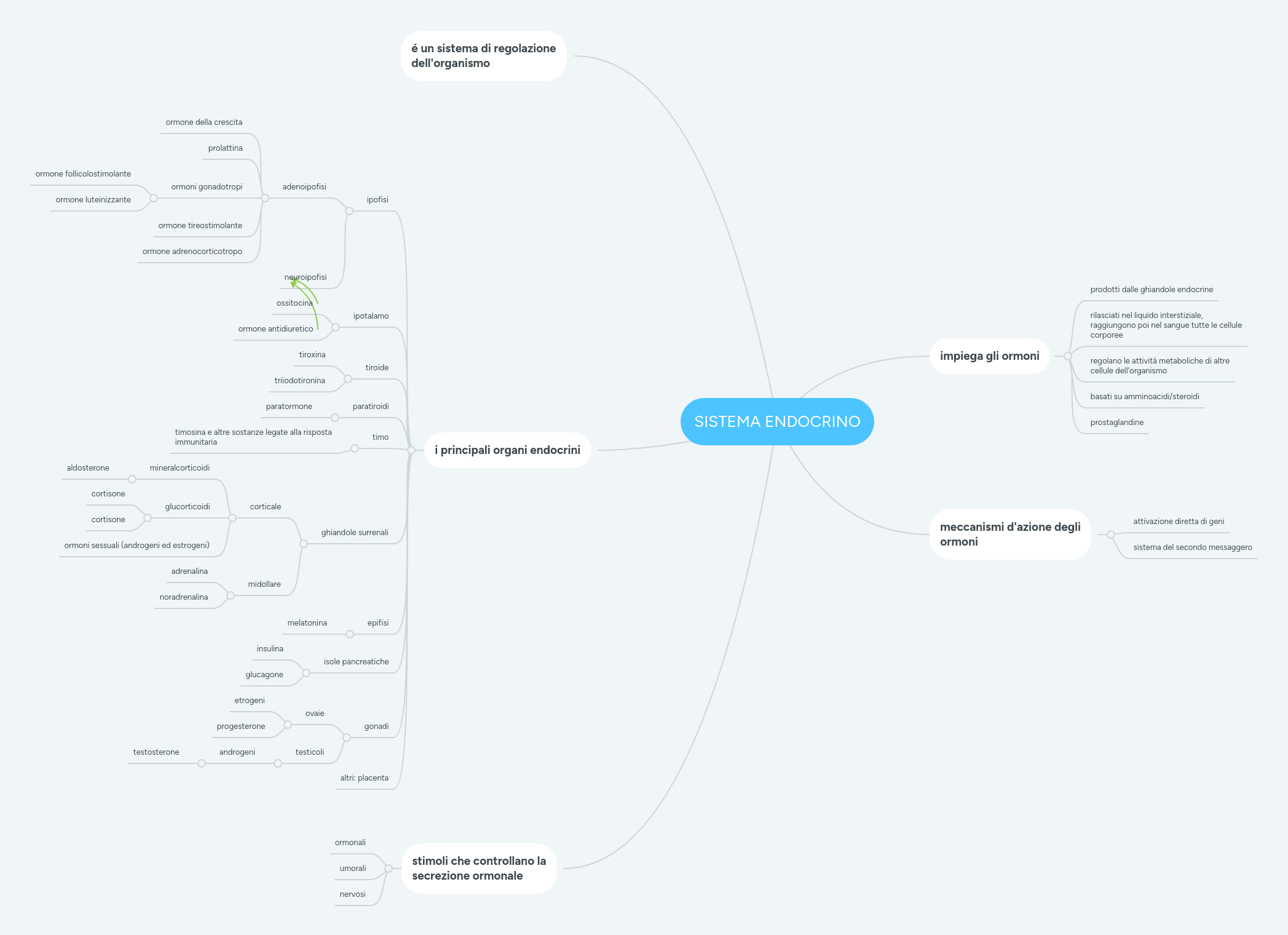 Mind Mapping Software: Mind Maps | MindMeister