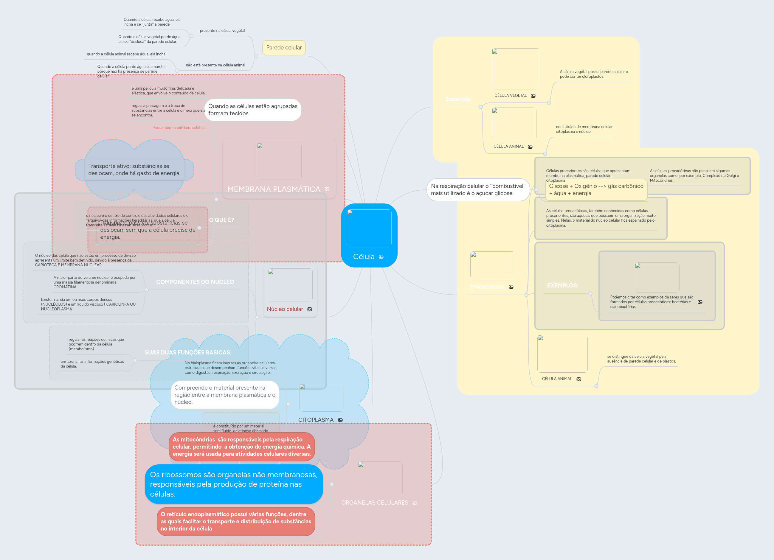 Mind Mapping Software: Mind Maps | MindMeister
