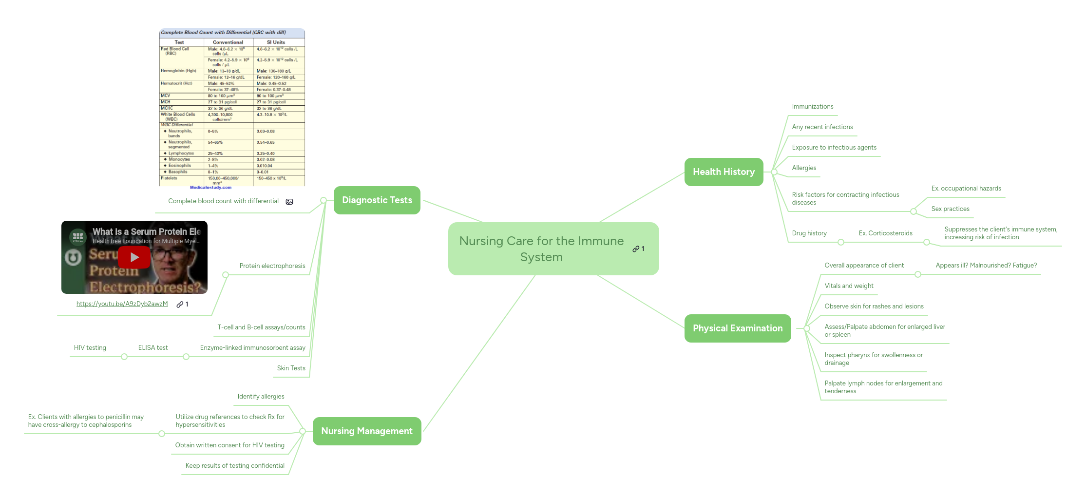 Nursing Care for the Immune System | MindMeister Mind map