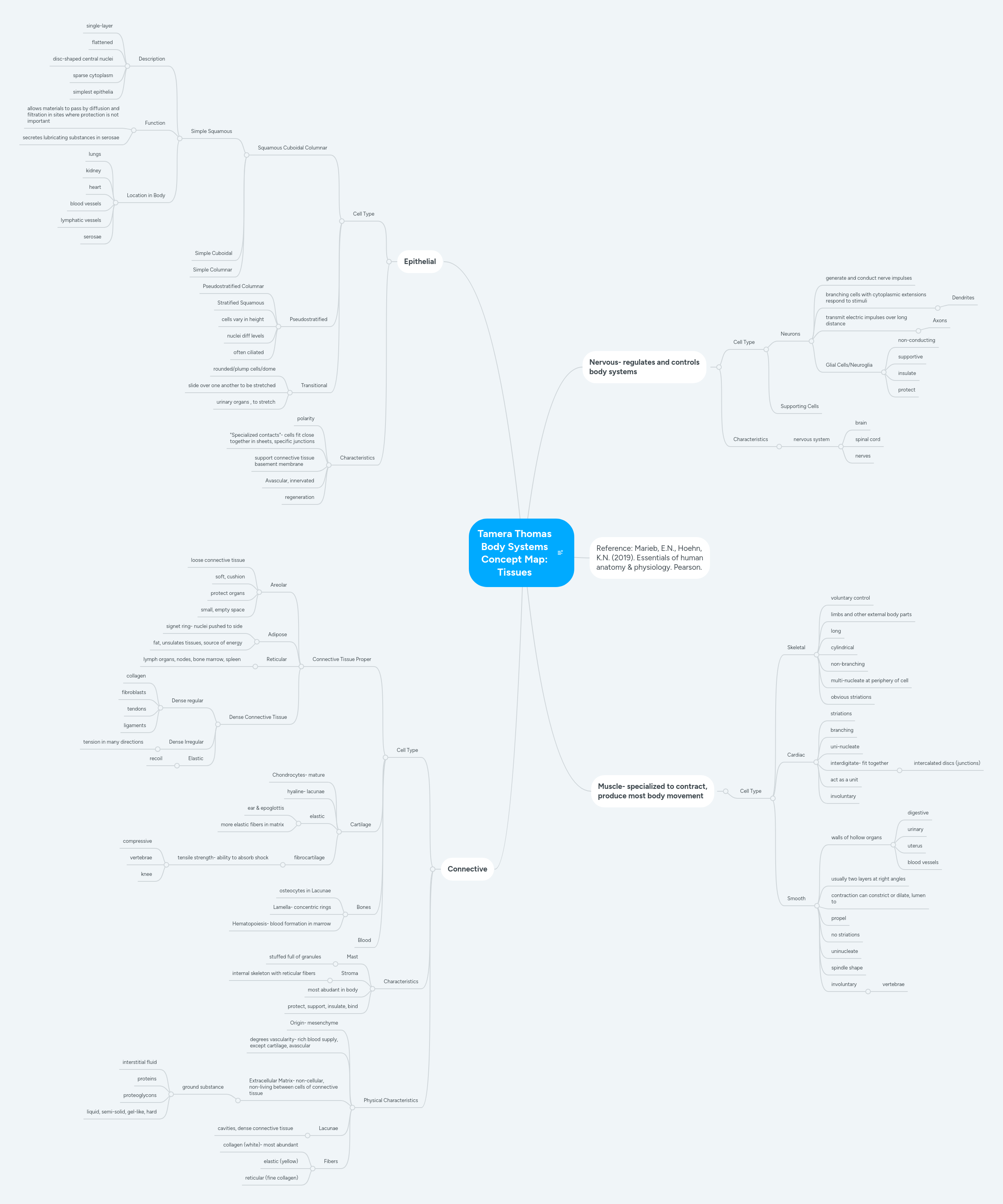 Tamera Thomas Body Systems Concept Map: Tissues | MindMeister Mind Map