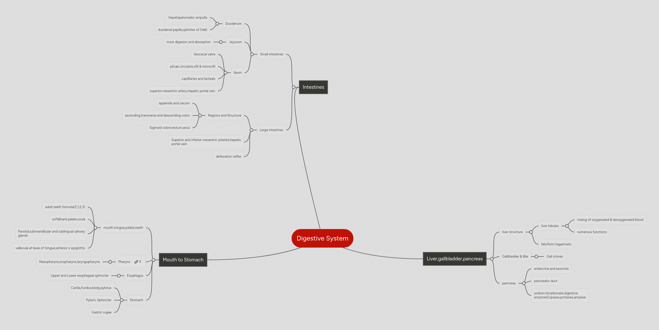 Digestive System | MindMeister Mind map