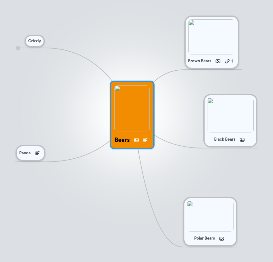 Bears | MindMeister Mind map