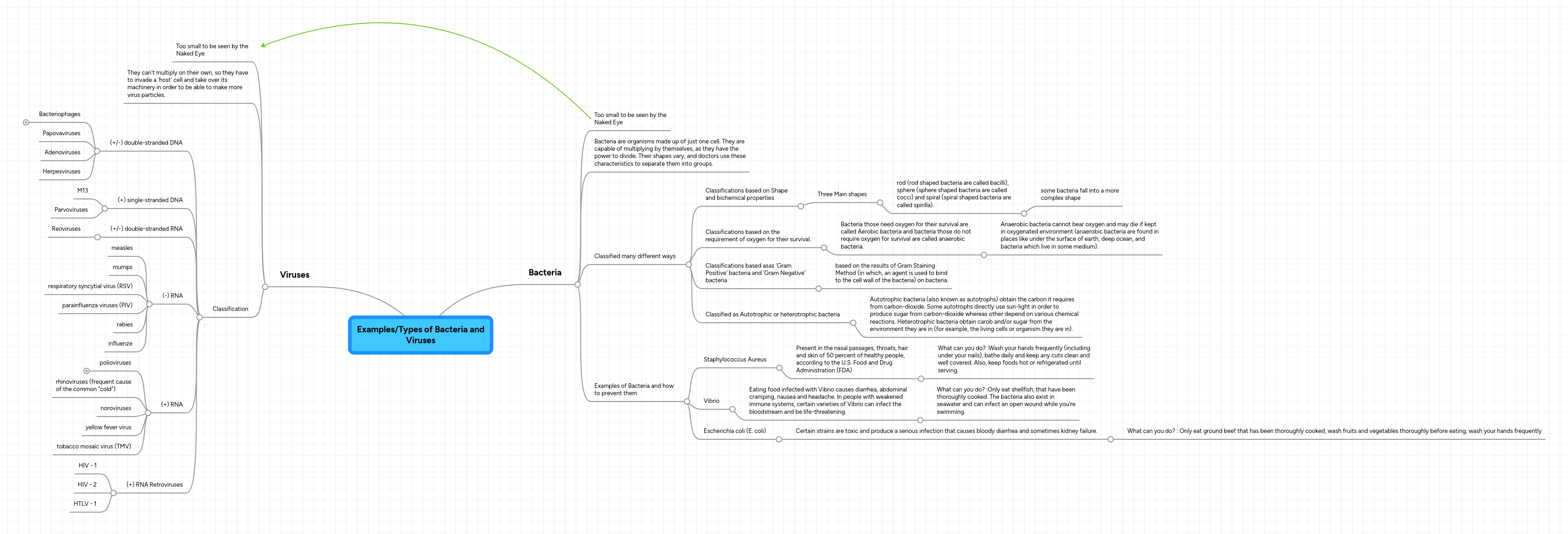 Examples/Types of Bacteria and Viruses | MindMeister Mind map