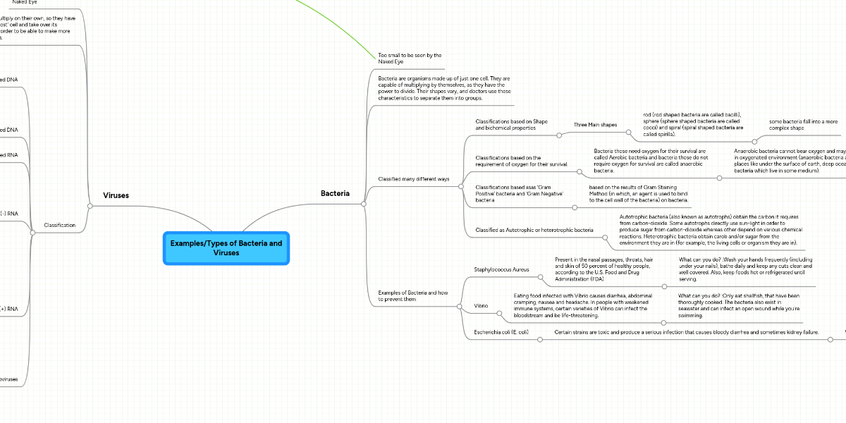 Examples/Types of Bacteria and Viruses | MindMeister Mind Map