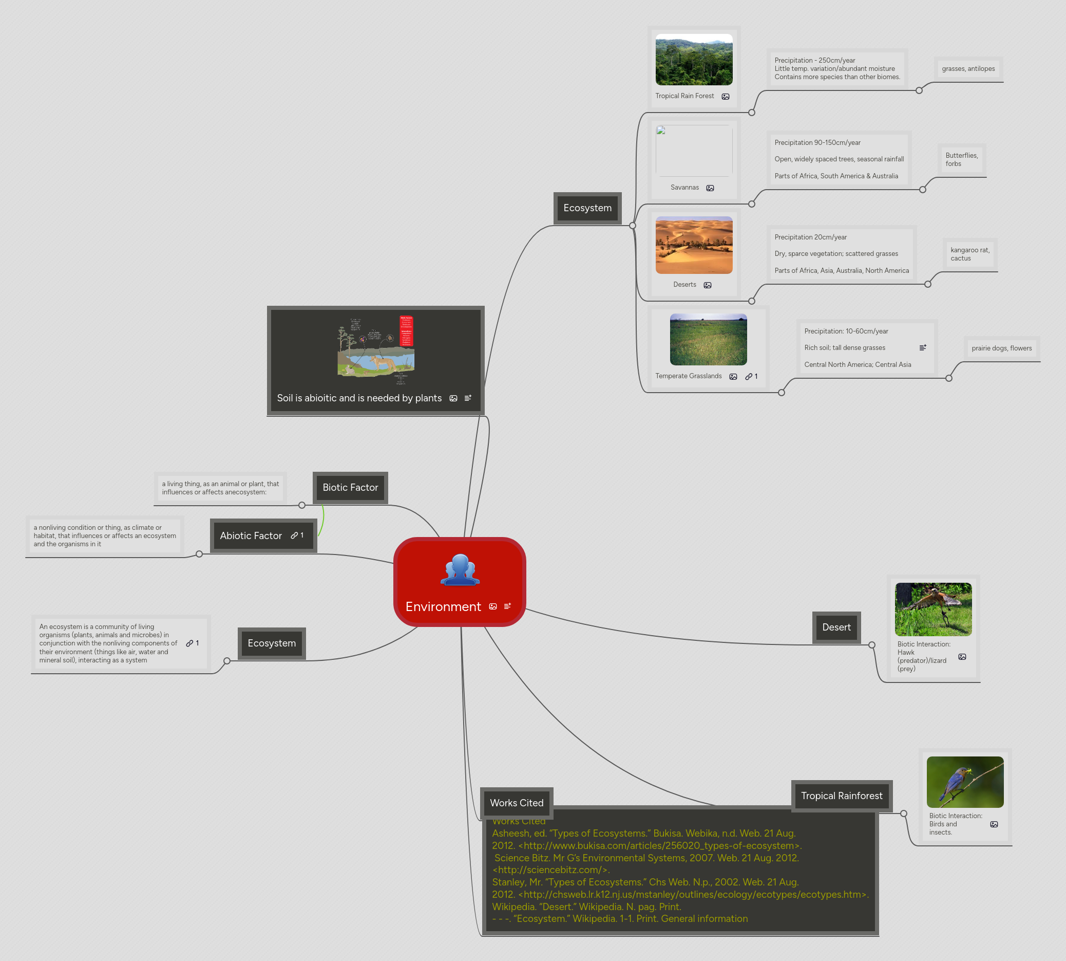 Environment | MindMeister Mind map