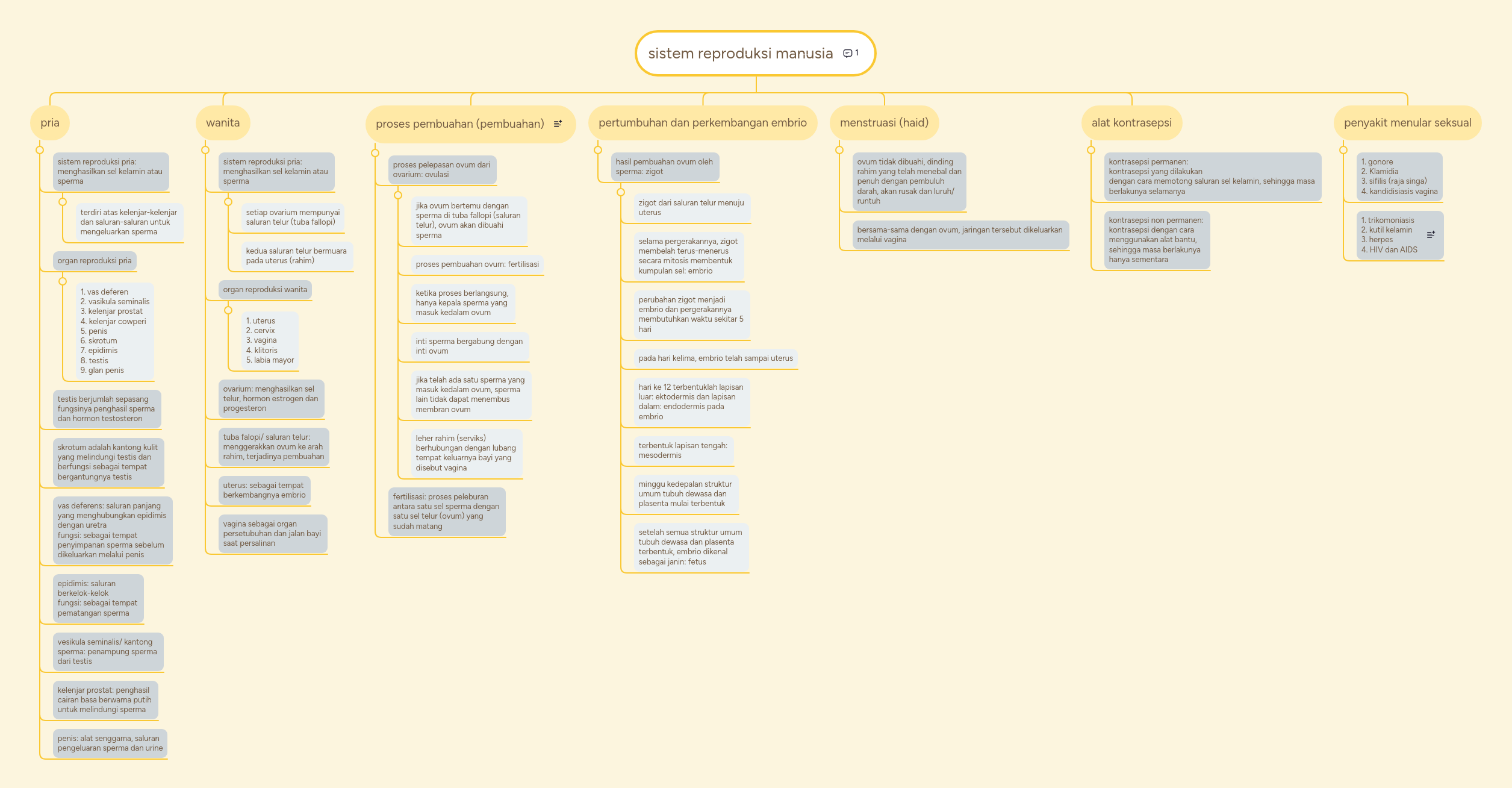 sistem reproduksi manusia | MindMeister Mind map