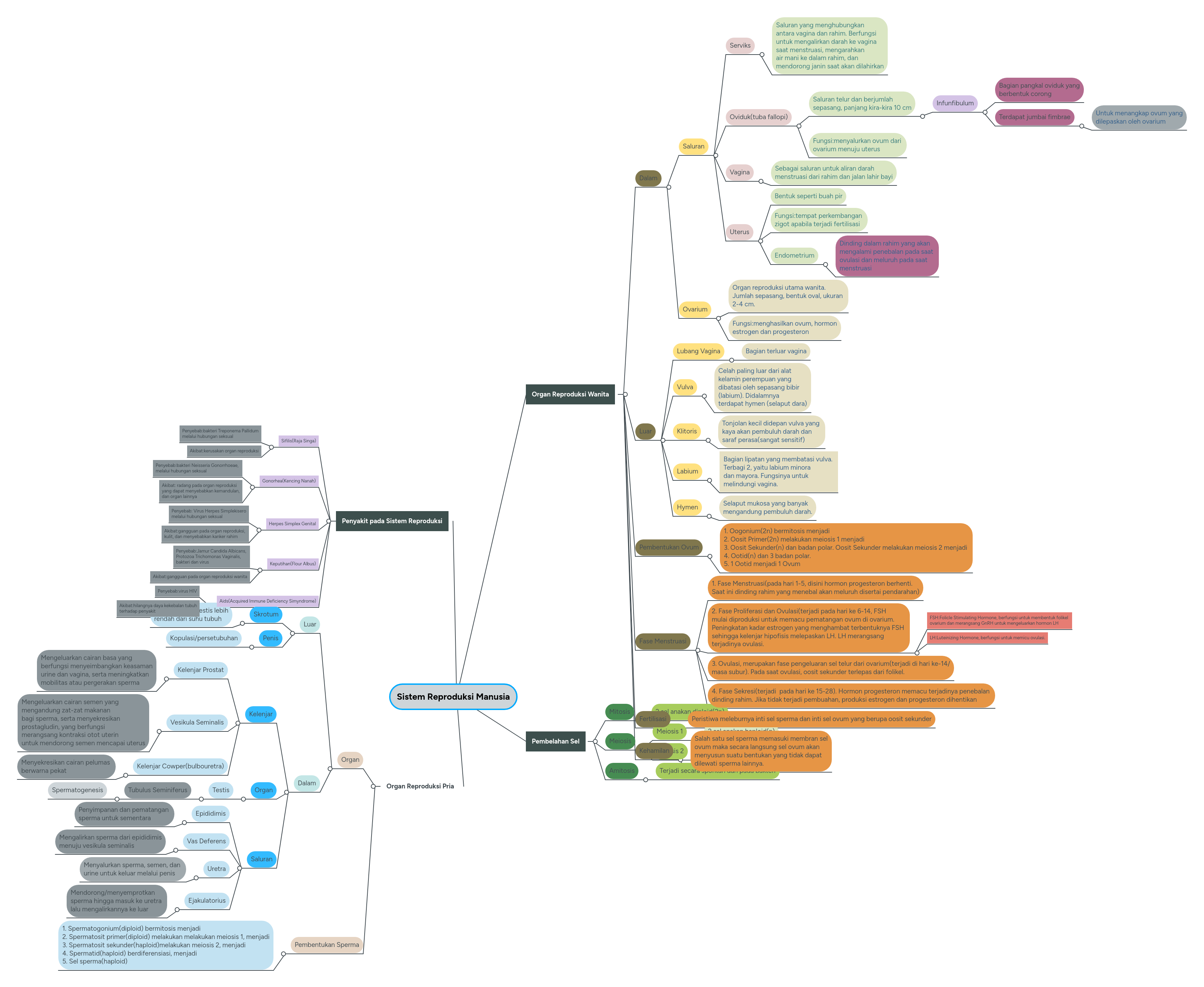 Sistem Reproduksi Manusia | MindMeister Mind Map