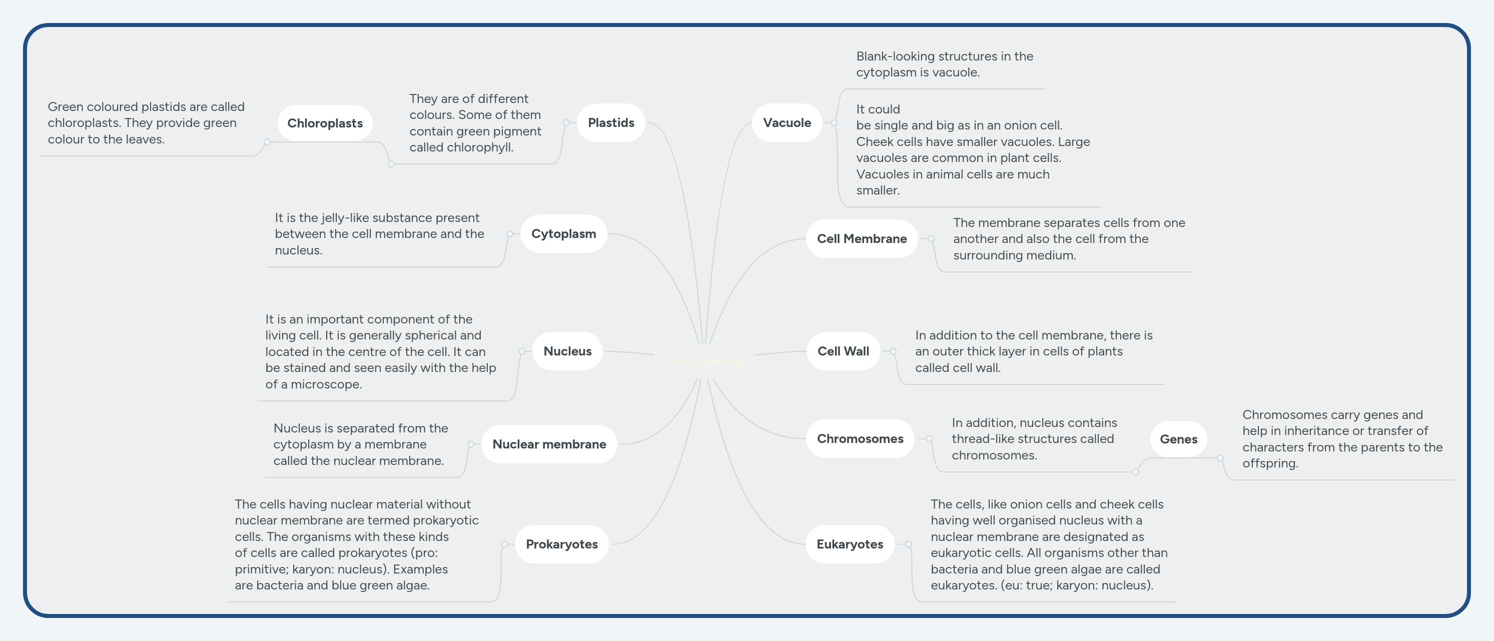 Cell Organelle | MindMeister Mind Map