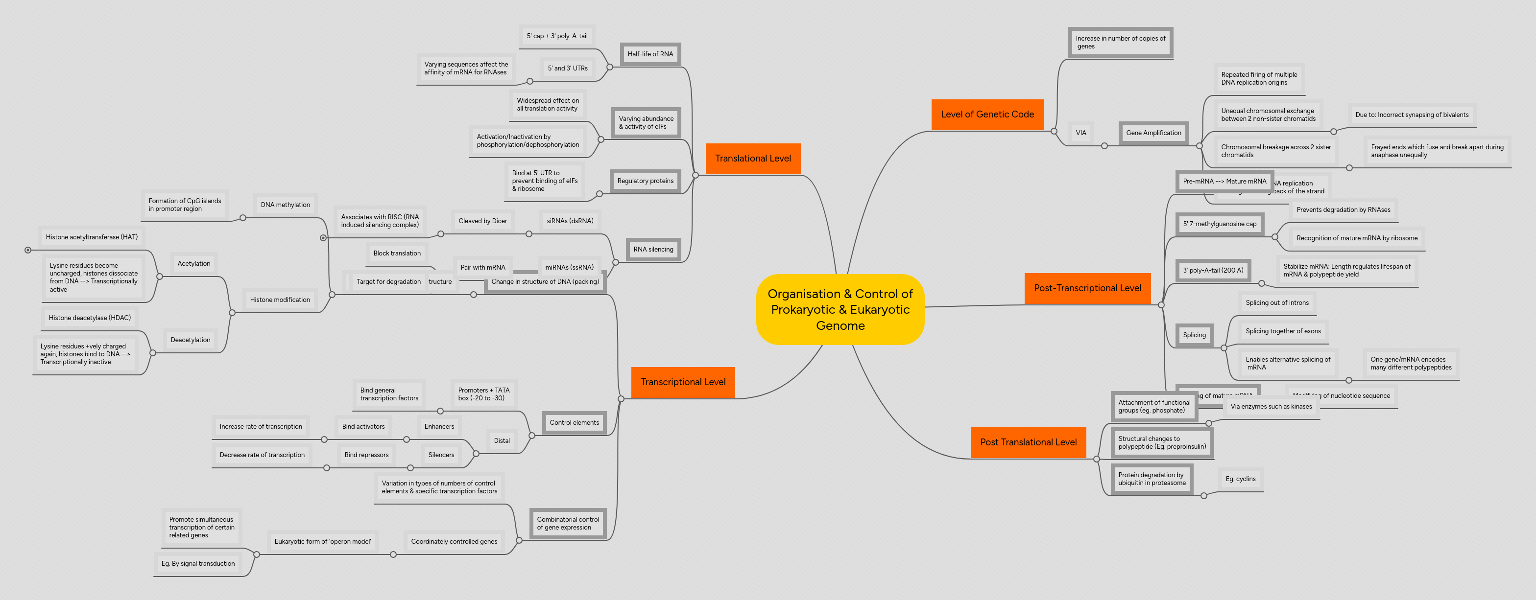 Organisation & Control of Prokaryotic & Eukaryoti... | MindMeister Mind map