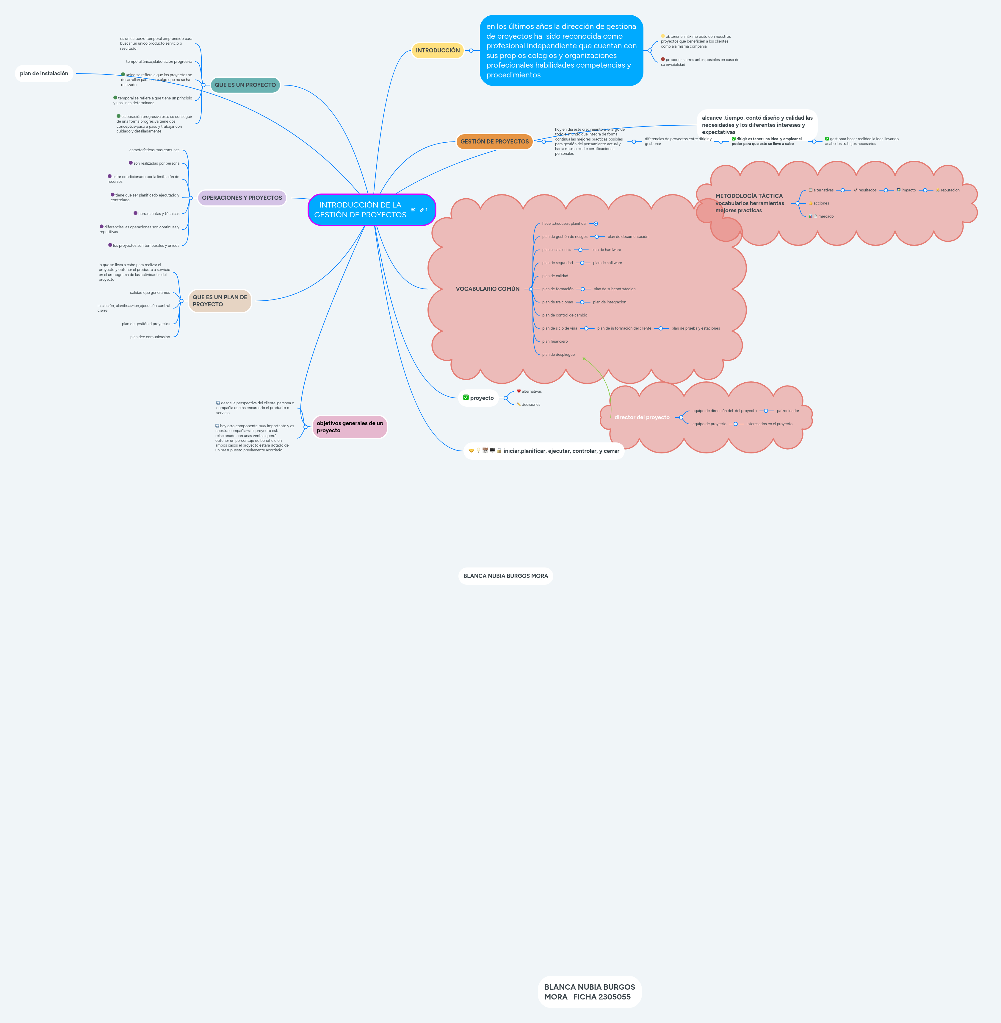 INTRODUCCIÓN DE LA GESTIÓN DE PROYECTOS | MindMeister Mapa mental