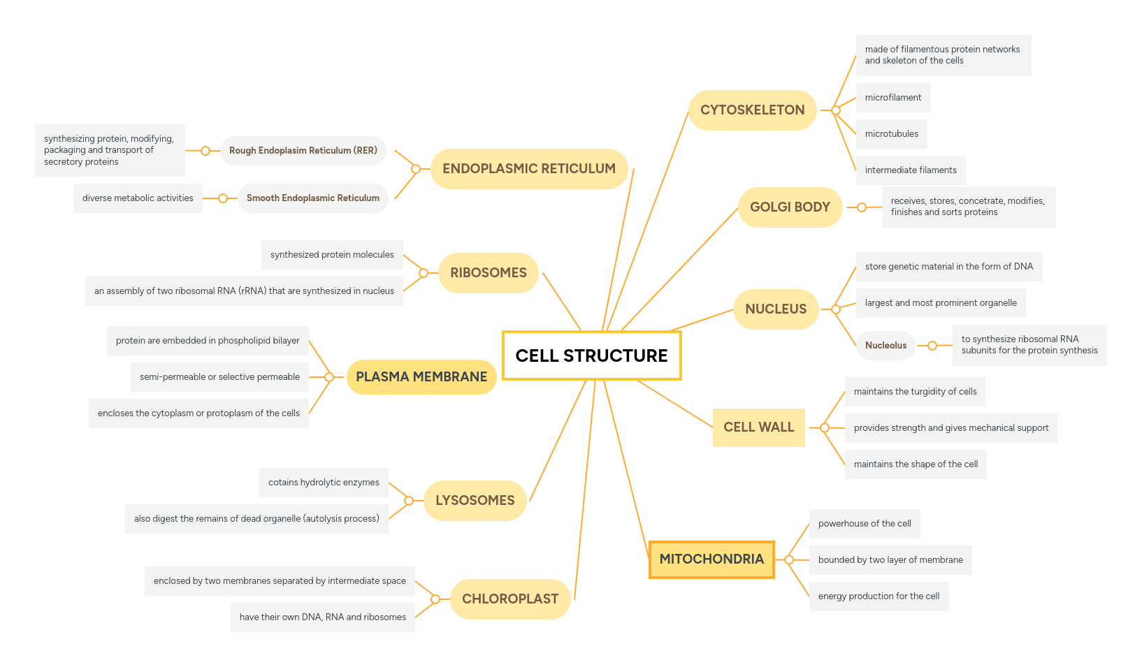 CELL STRUCTURE | MindMeister Mind map