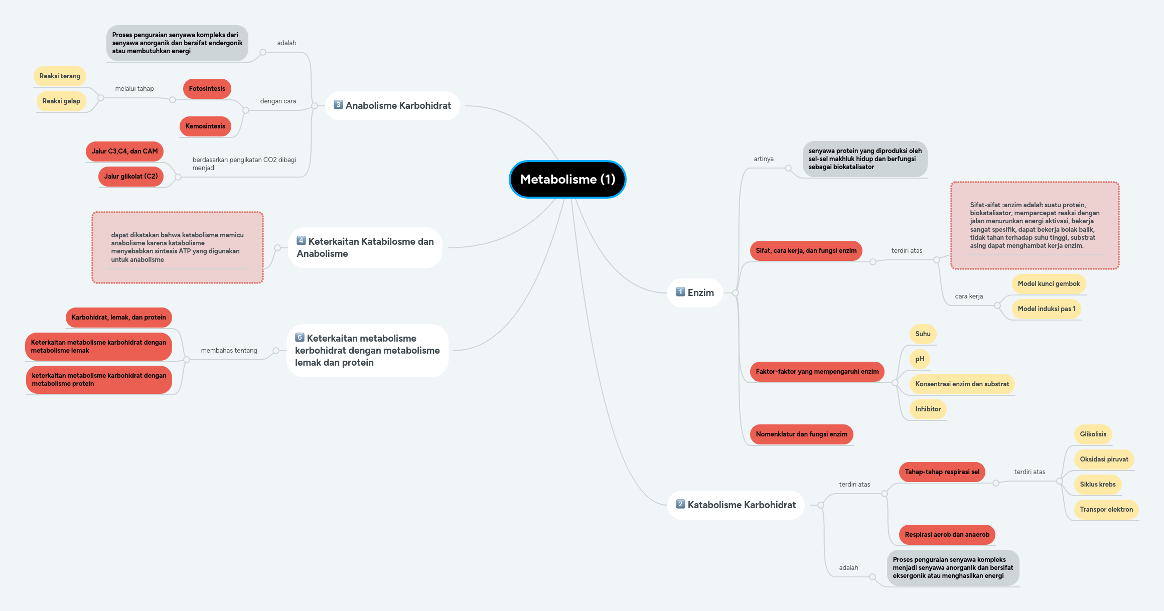 Metabolisme (1) | MindMeister Mind map