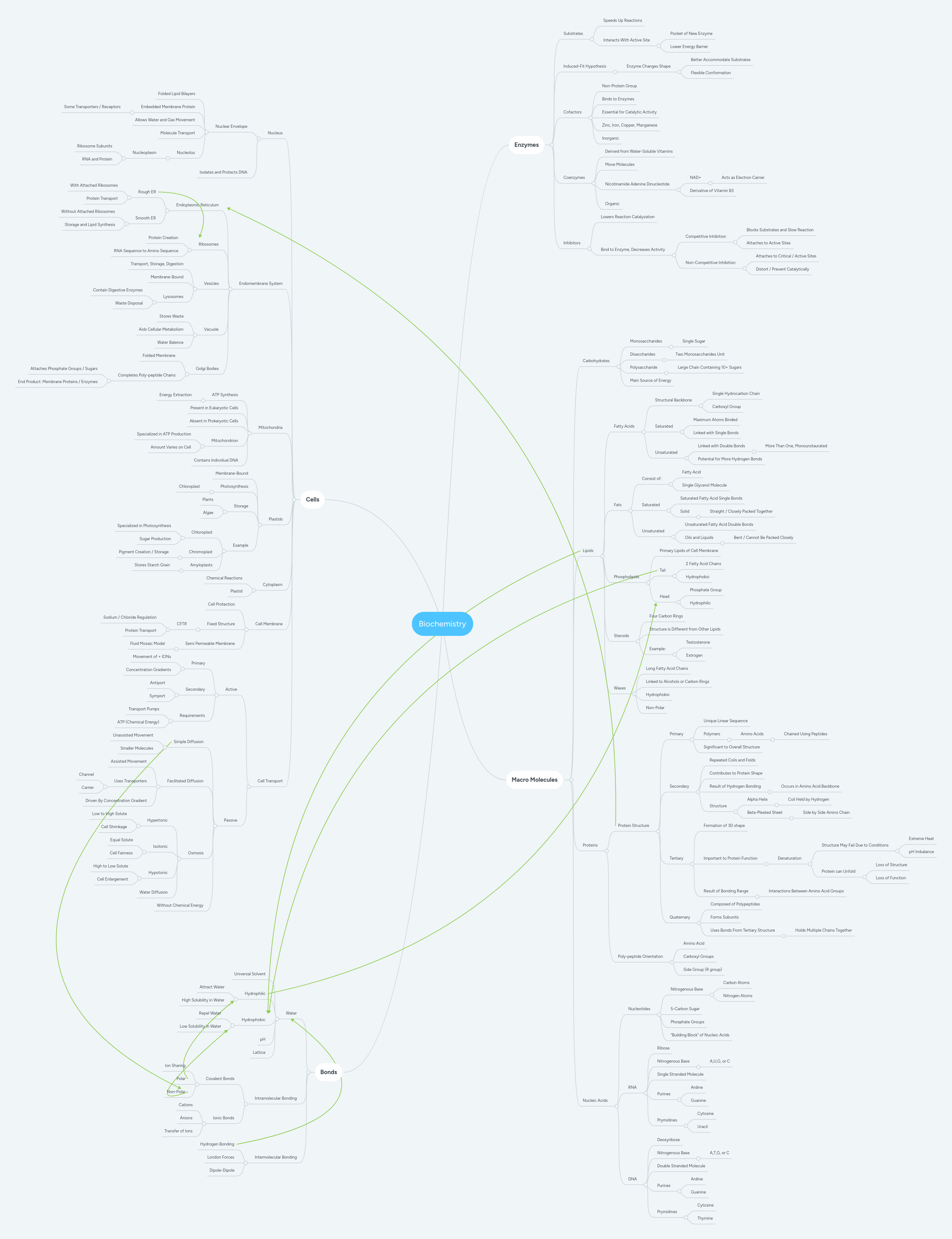 Biochemistry | MindMeister Mind Map