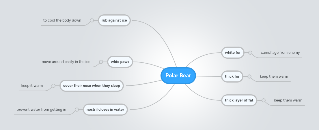 Polar Bear | MindMeister Mind map