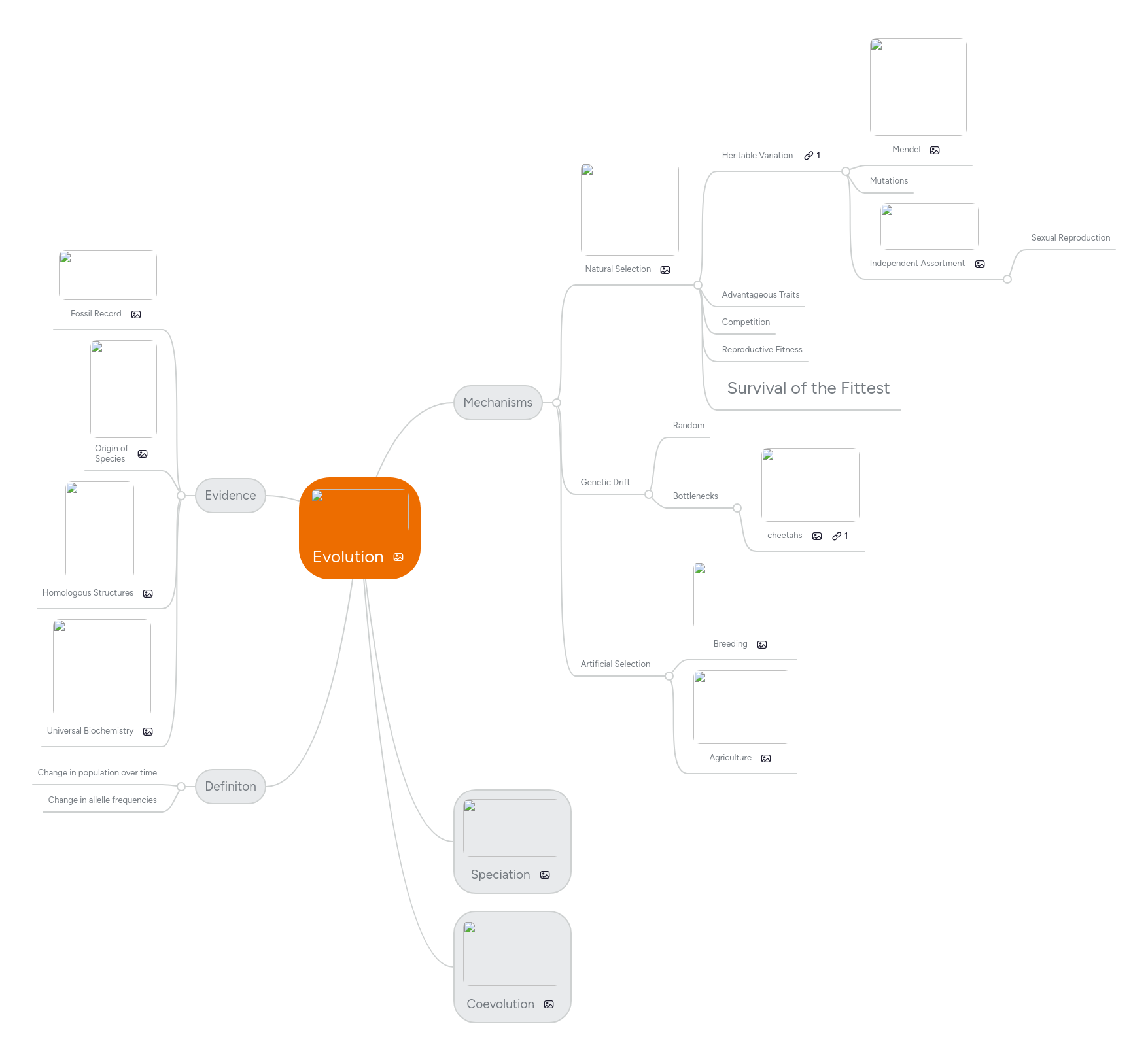 Evolution | MindMeister Mind map