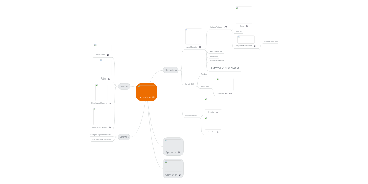 Evolution | MindMeister Mind Map