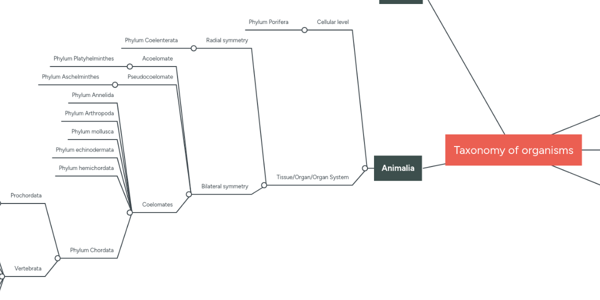 Taxonomy of organisms | MindMeister Mind Map