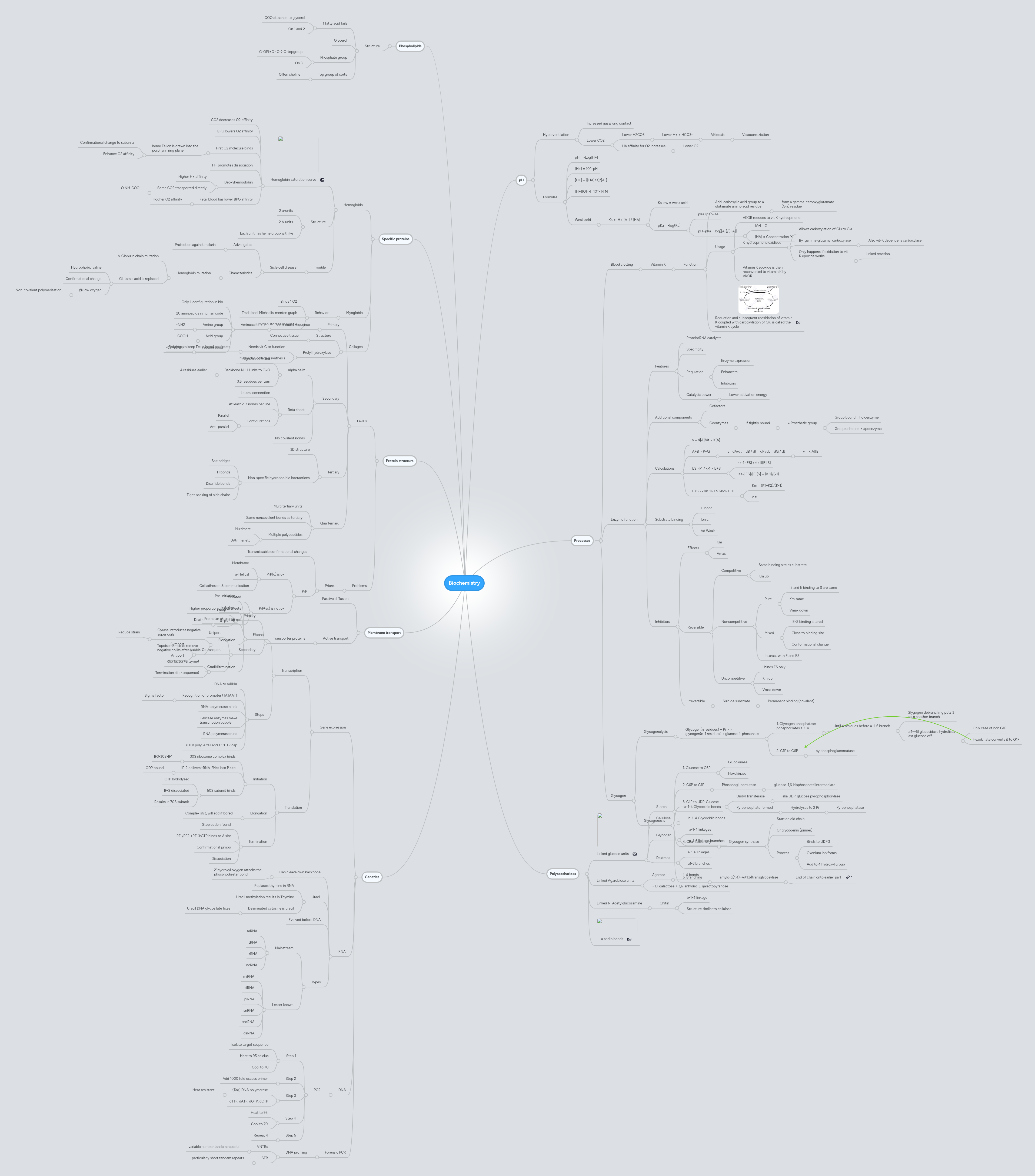 Biochemistry | MindMeister Mind map