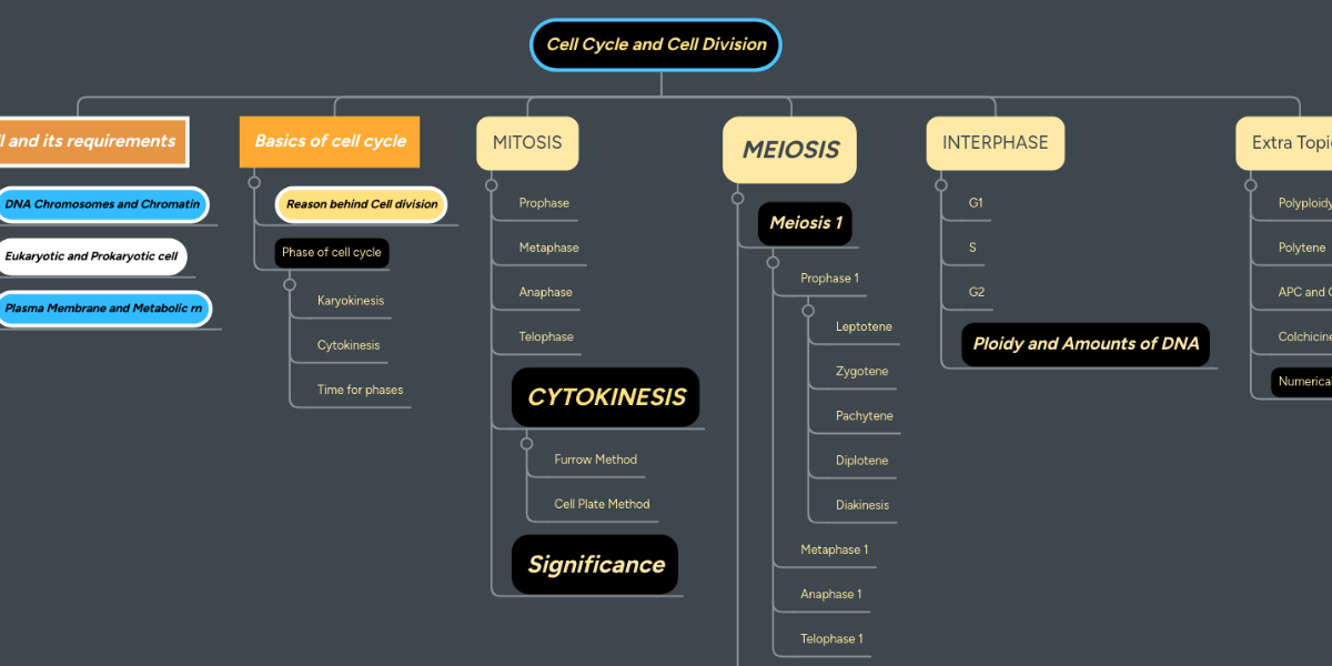 Cell Cycle and Cell Division | MindMeister Mind Map