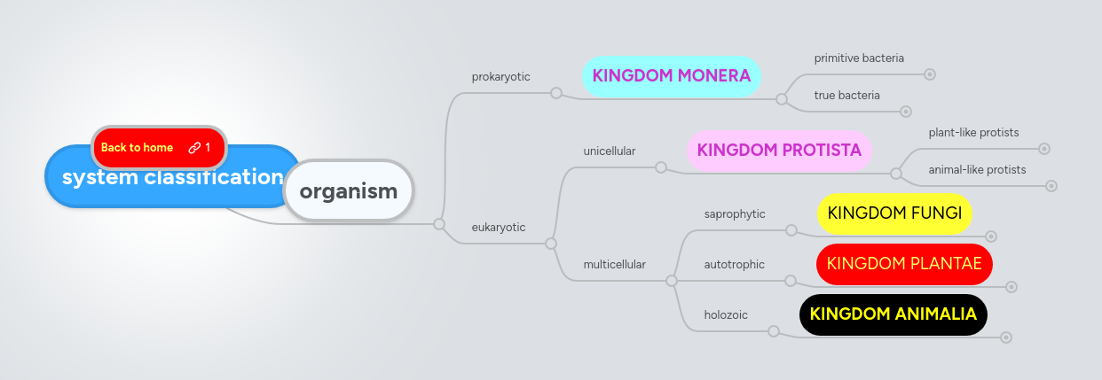 system classification | MindMeister Mind Map
