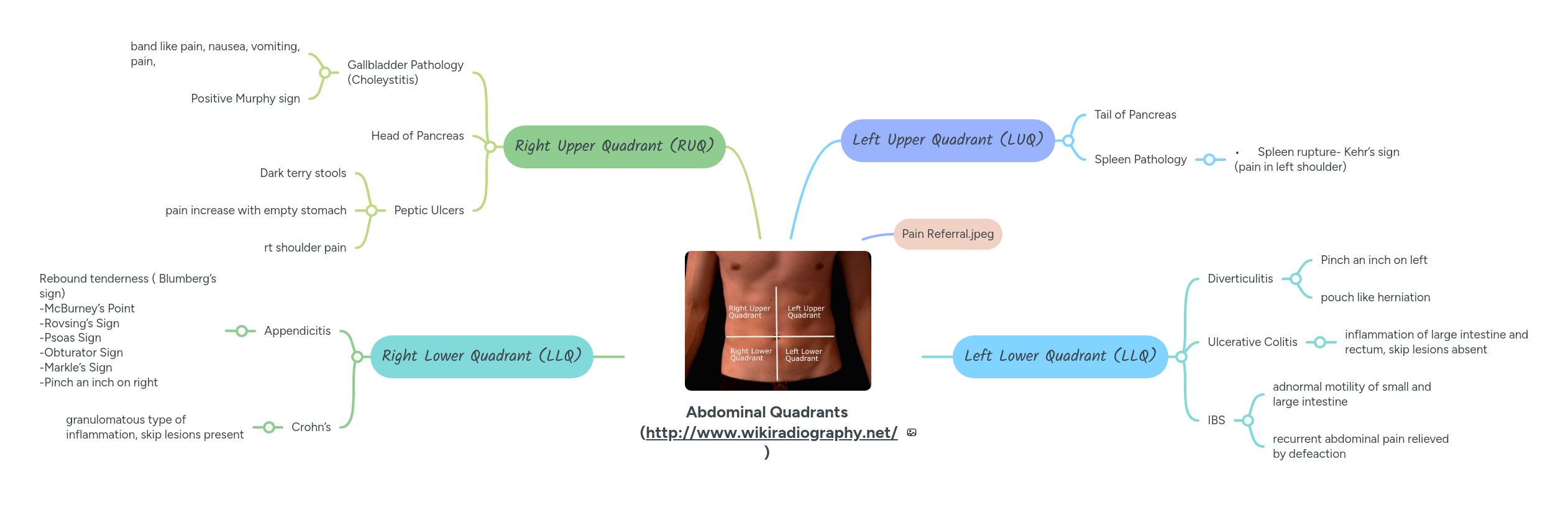 Abdominal Quadrants (http://www.wikiradiography.... | MindMeister Mind Map