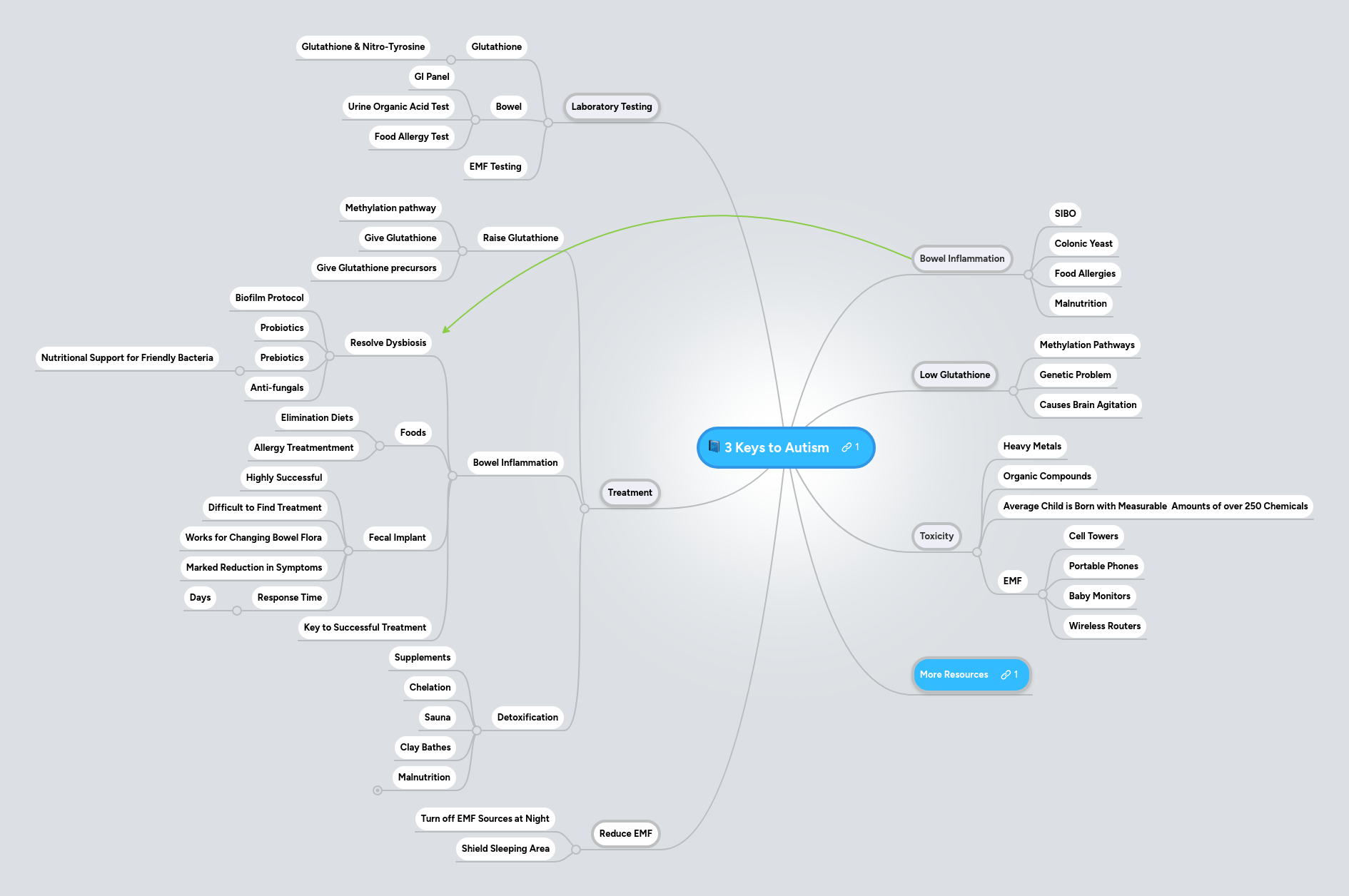 3 Keys to Autism | MindMeister Mind Map