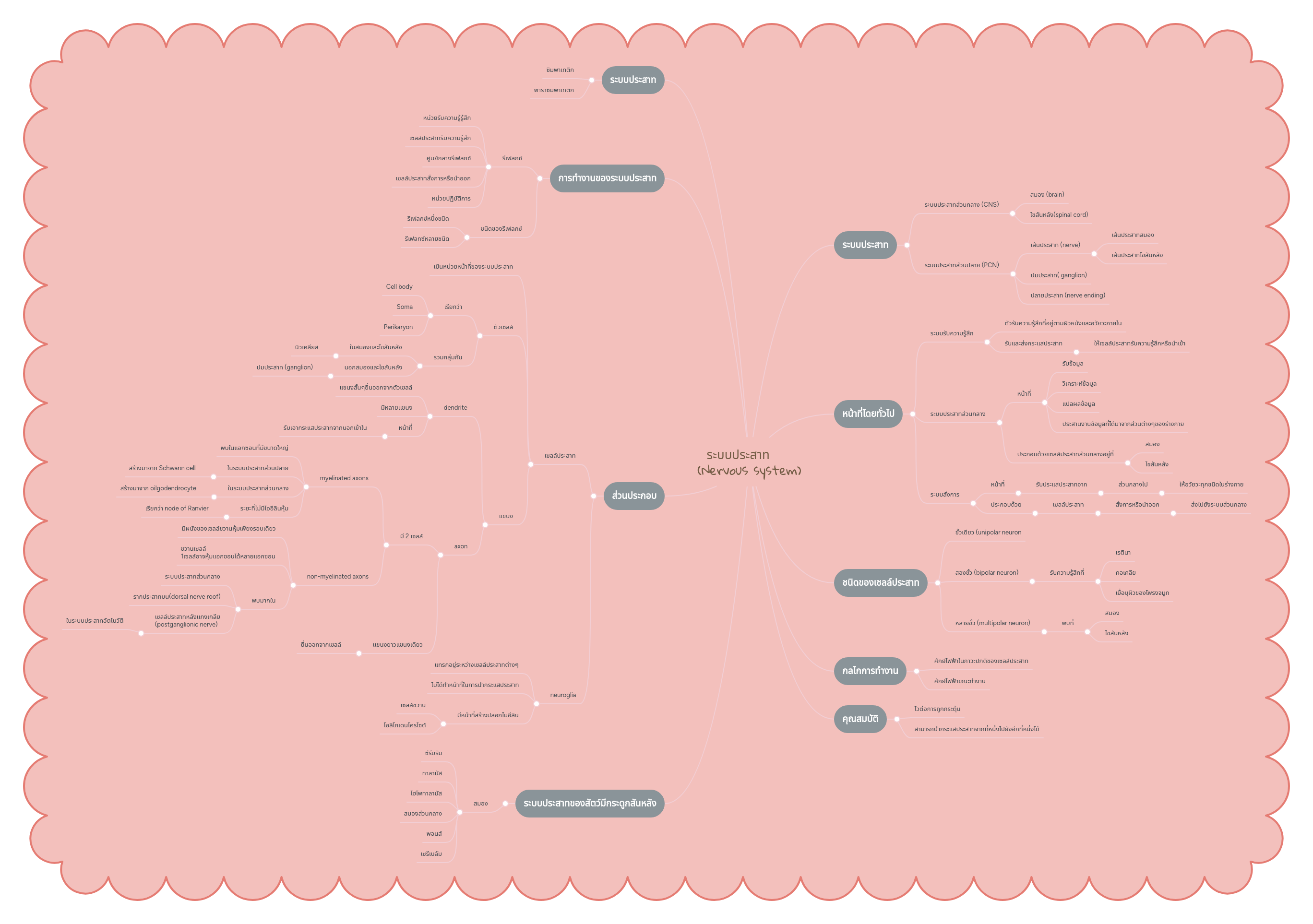 ระบบประสาท (Nervous system) | MindMeister Mind map