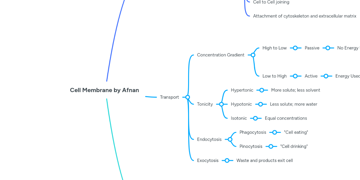 Cell Membrane by Afnan | MindMeister Mind Map
