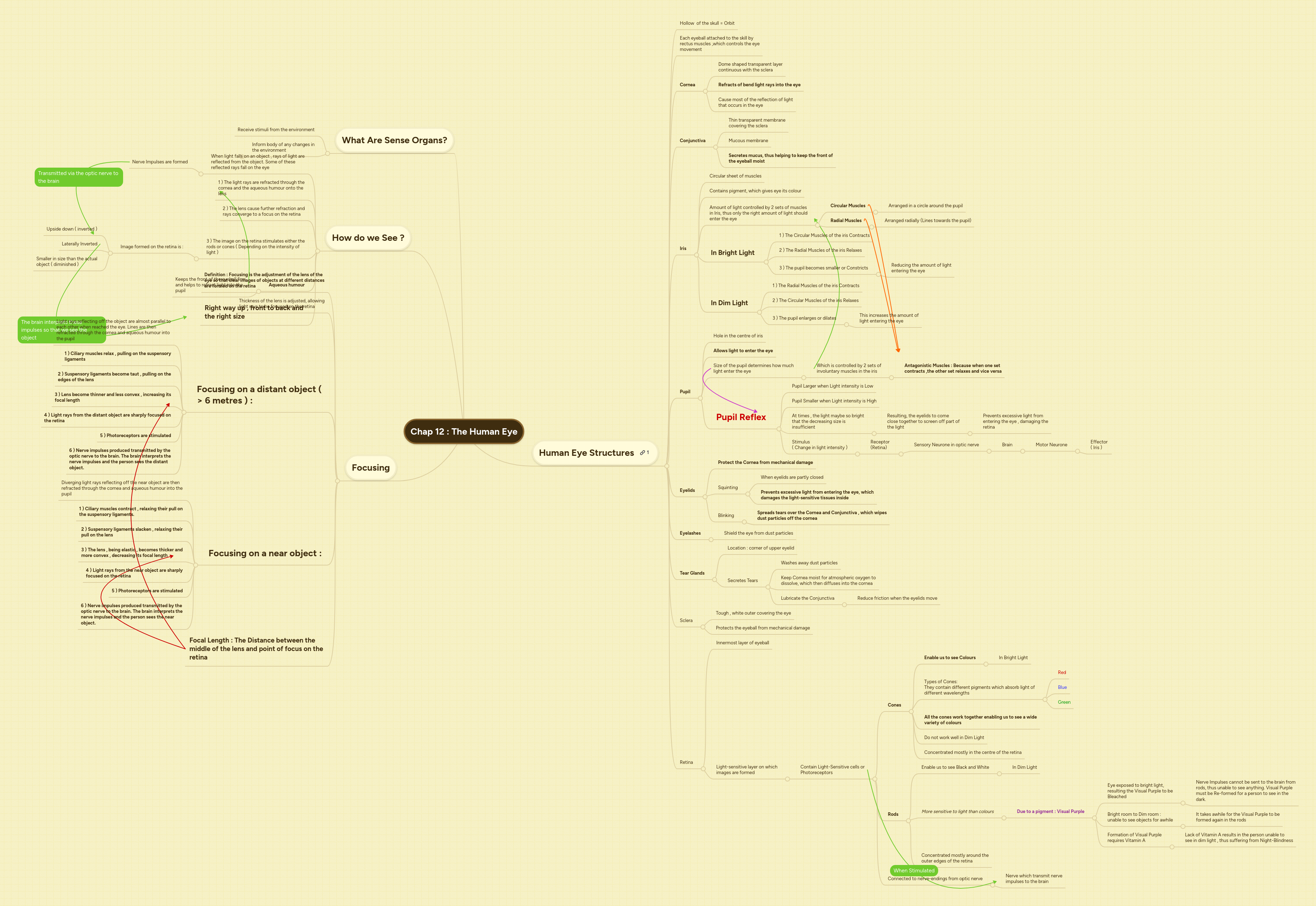 Chap 12 : The Human Eye | MindMeister Mind Map