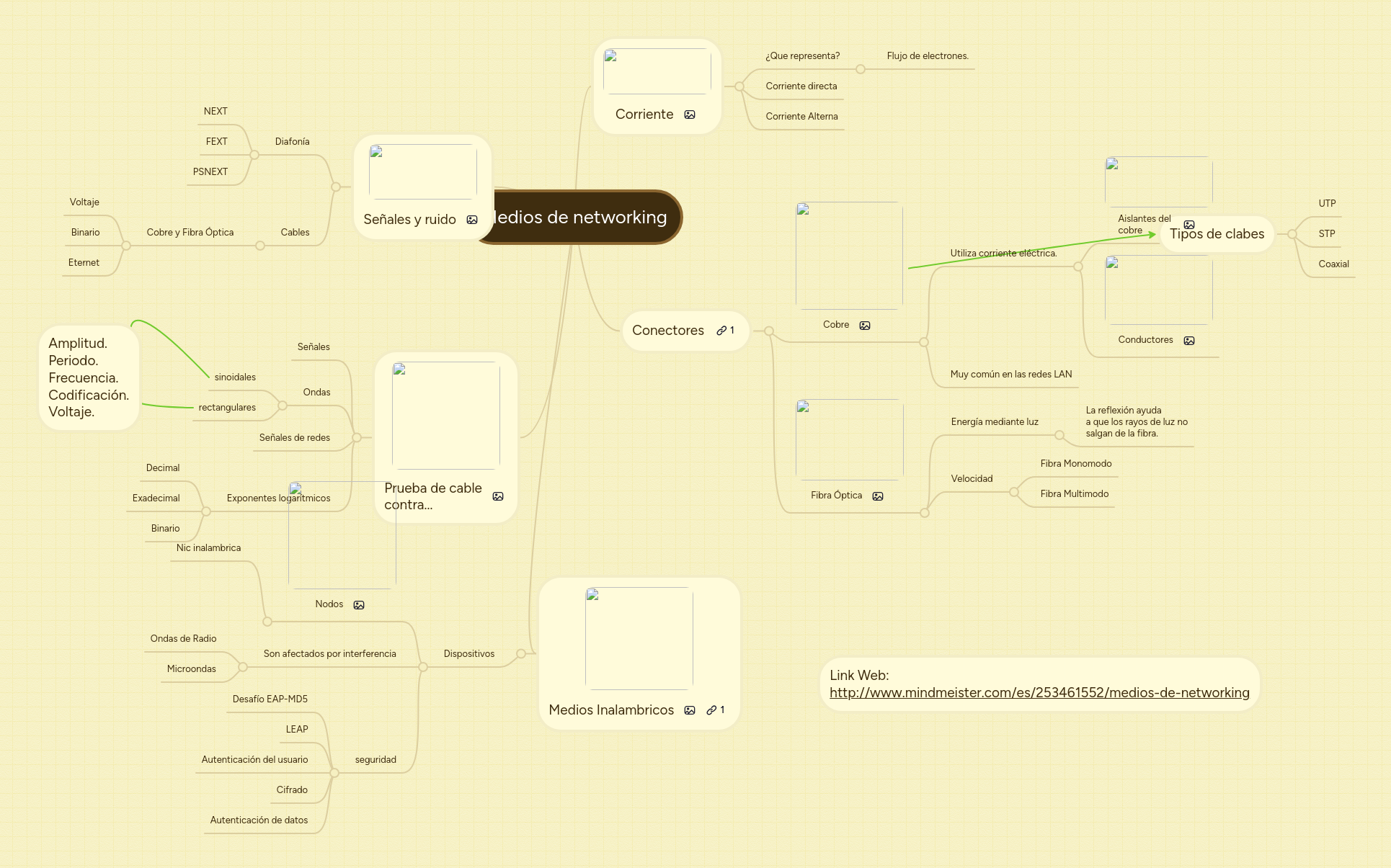 Medios de networking | MindMeister Mapa mental