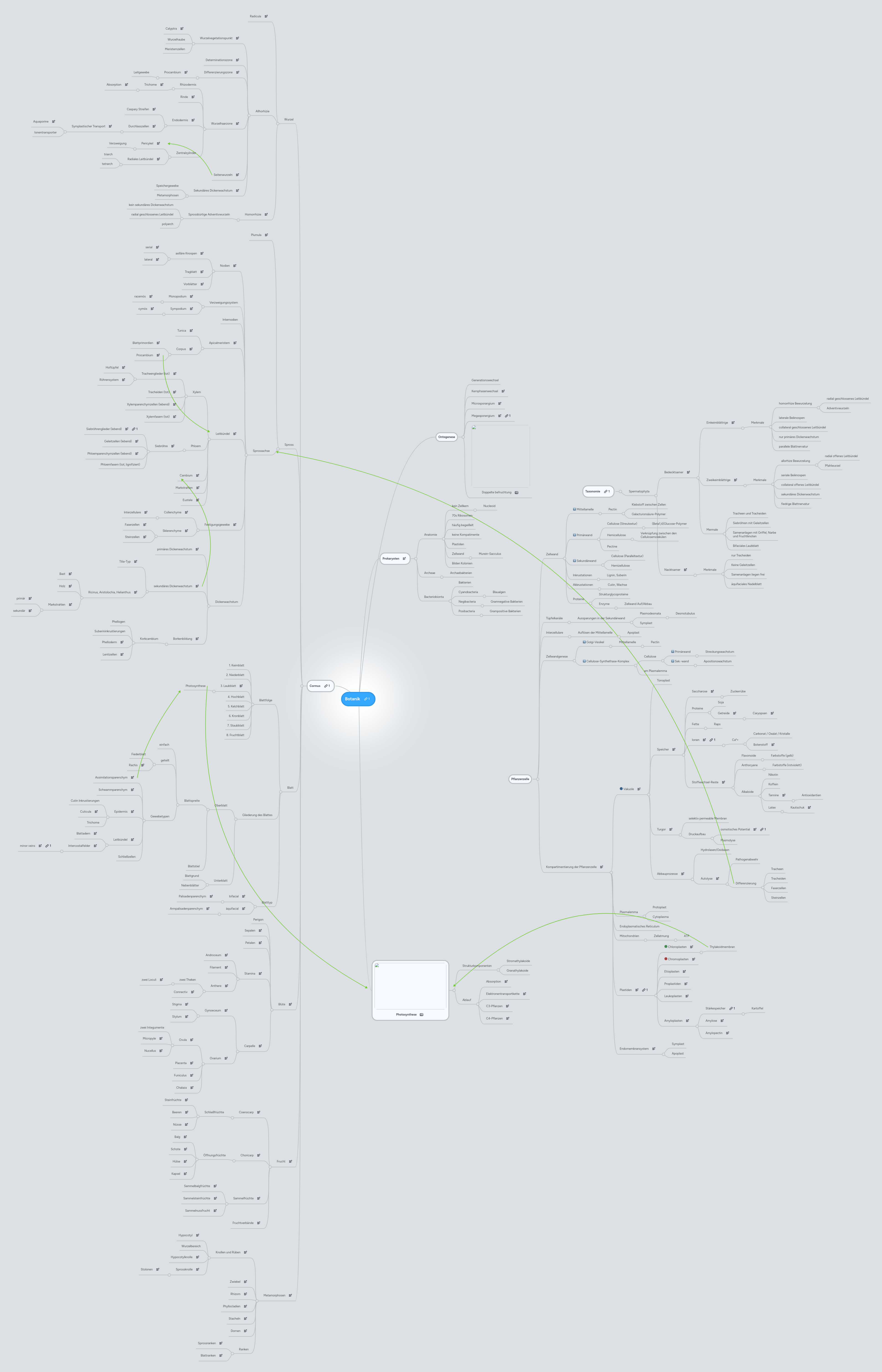 Botanik | MindMeister Mindmap
