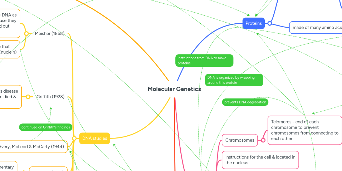 Molecular Genetics | MindMeister Mind Map