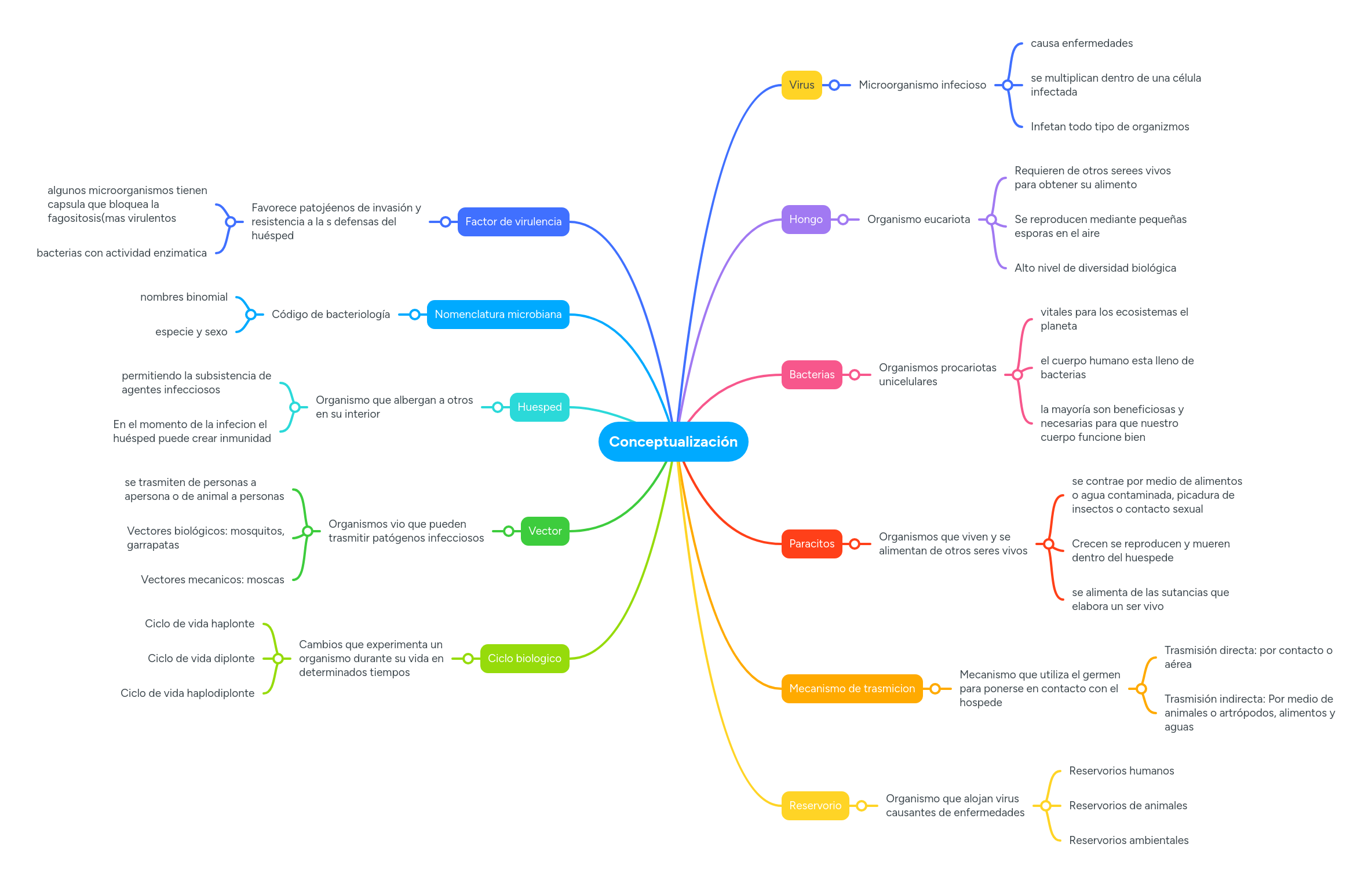 Mind Mapping Software: Mind Maps | MindMeister