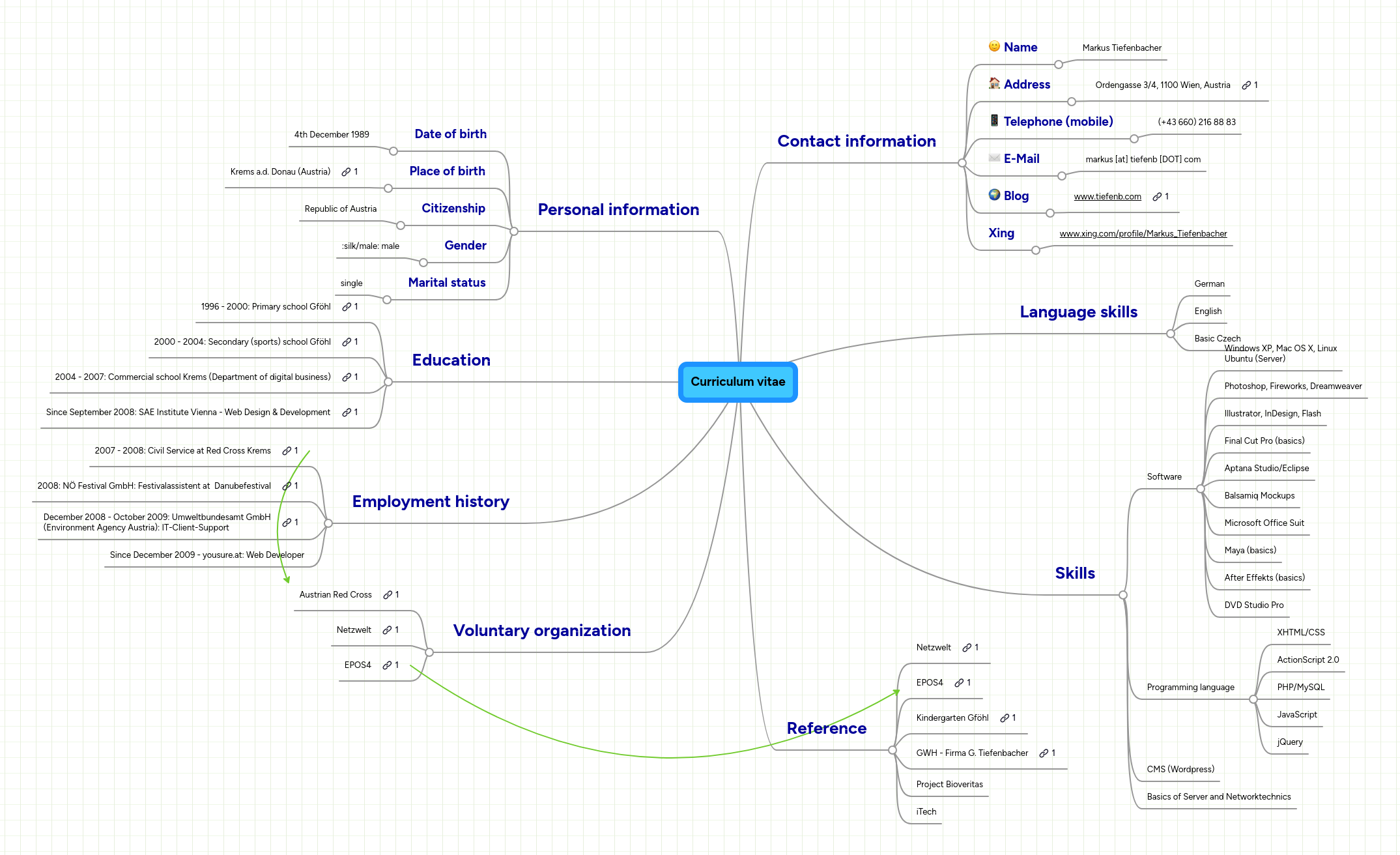 Curriculum vitae | MindMeister Mind map