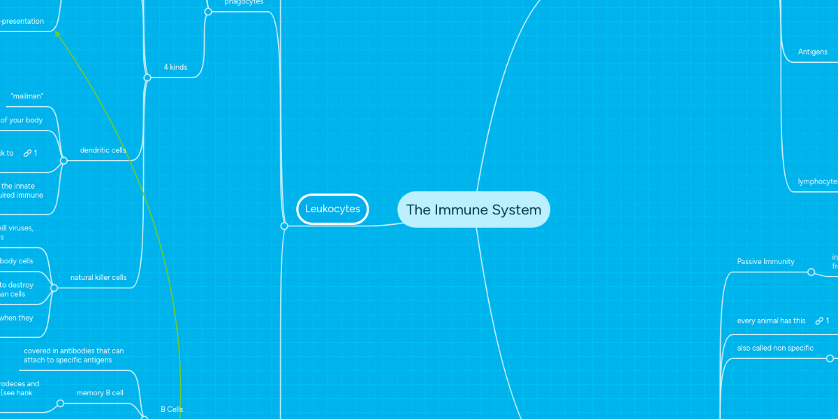 The Immune System | MindMeister Mind Map