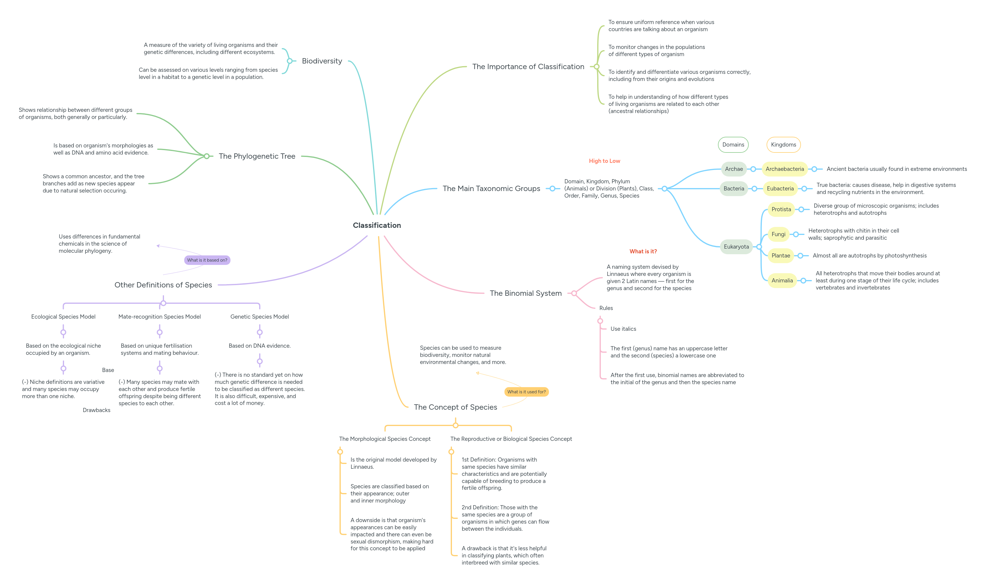 Classification | MindMeister Mind map