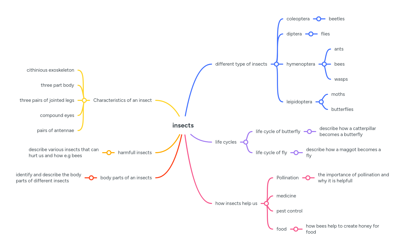 insects | MindMeister Mind map