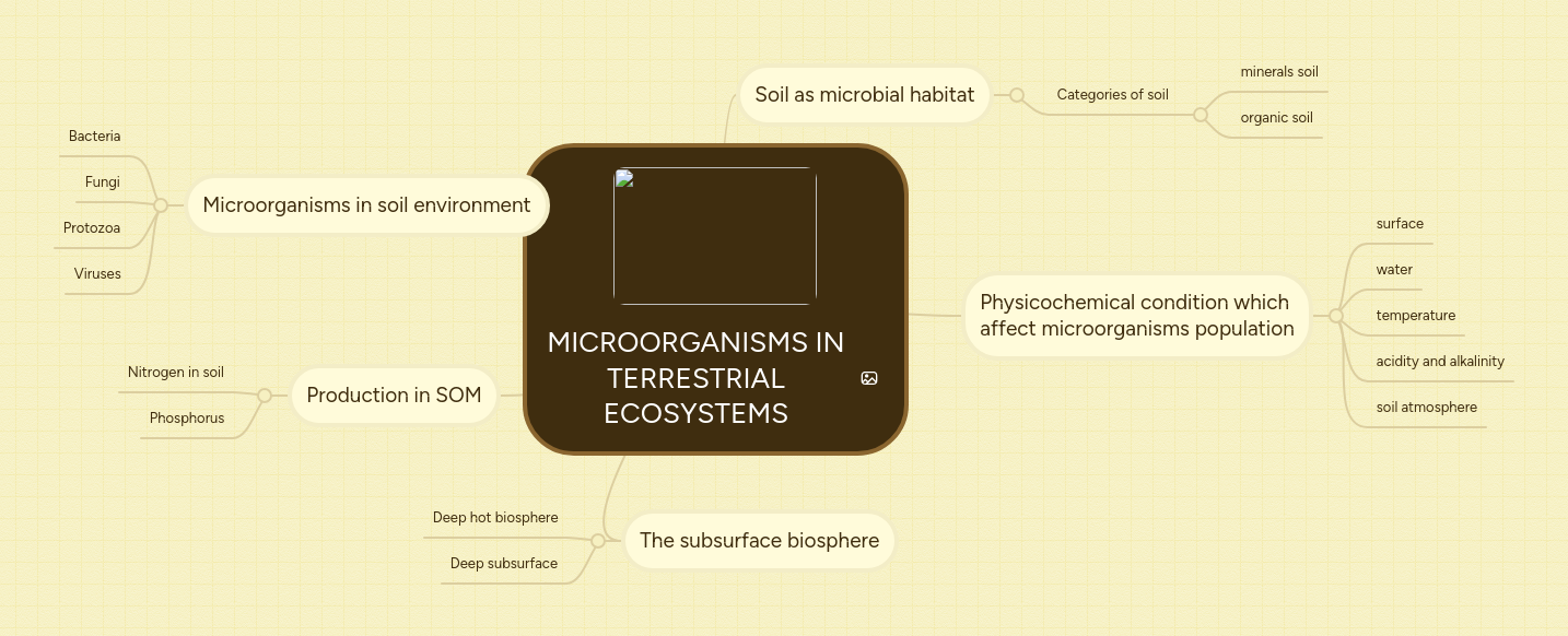 MICROORGANISMS IN TERRESTRIAL ECOSYSTEMS | MindMeister Mind map