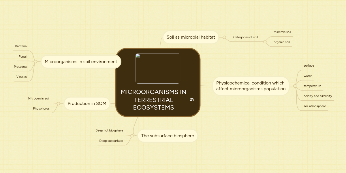 MICROORGANISMS IN TERRESTRIAL ECOSYSTEMS | MindMeister Mind Map