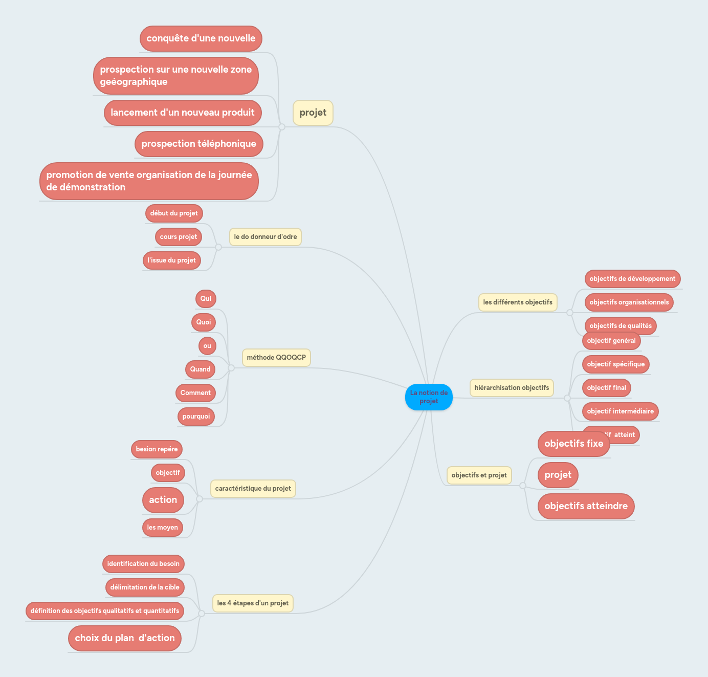 La notion de projet | MindMeister Carte mentale