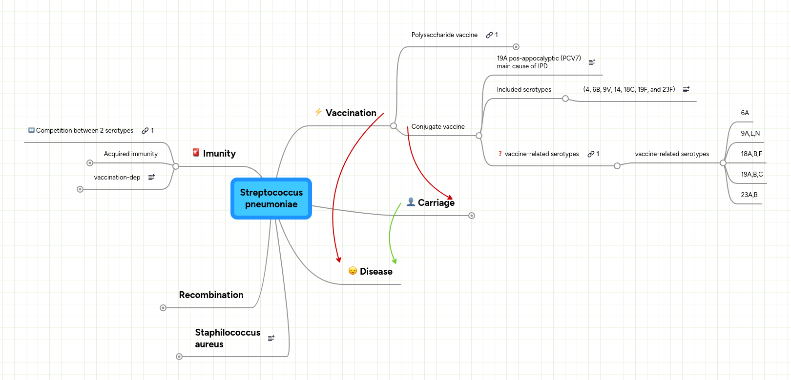 Streptococcus pneumoniae | MindMeister Mind Map