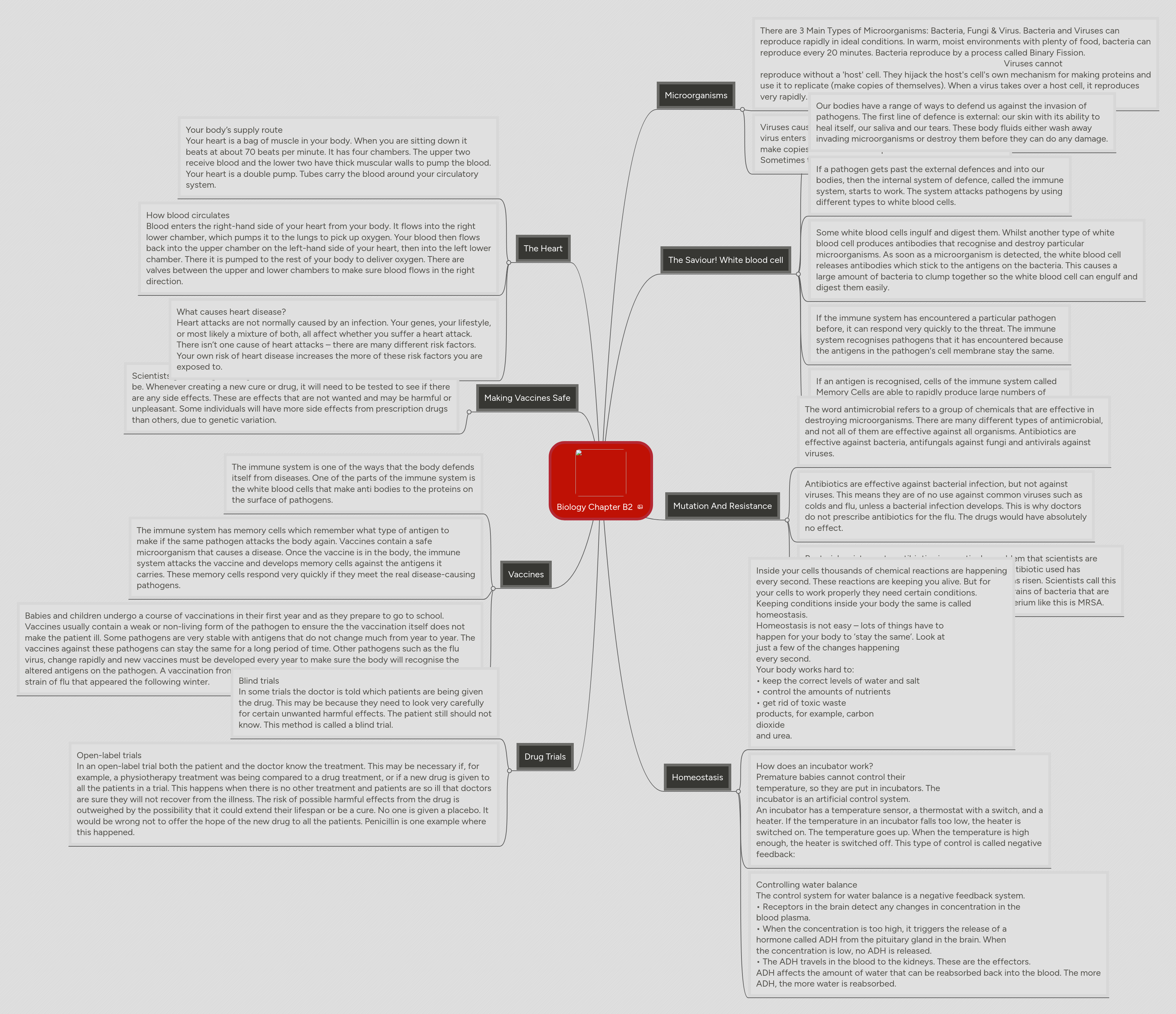 Biology Chapter B2 | MindMeister Mind Map