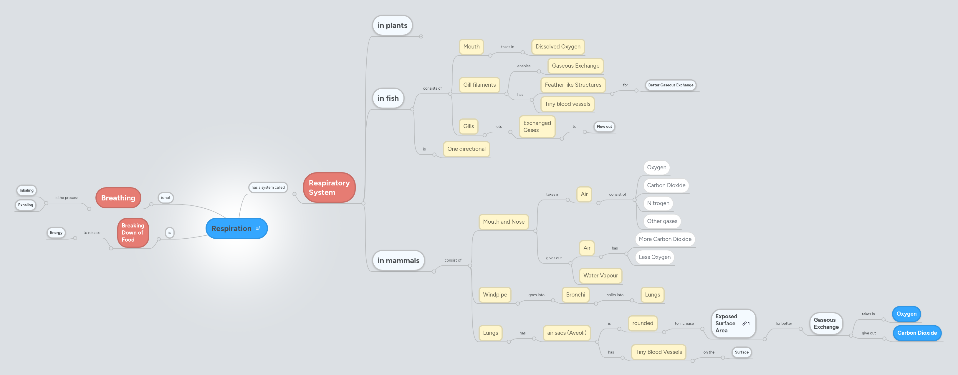 Respiration | MindMeister Mind Map