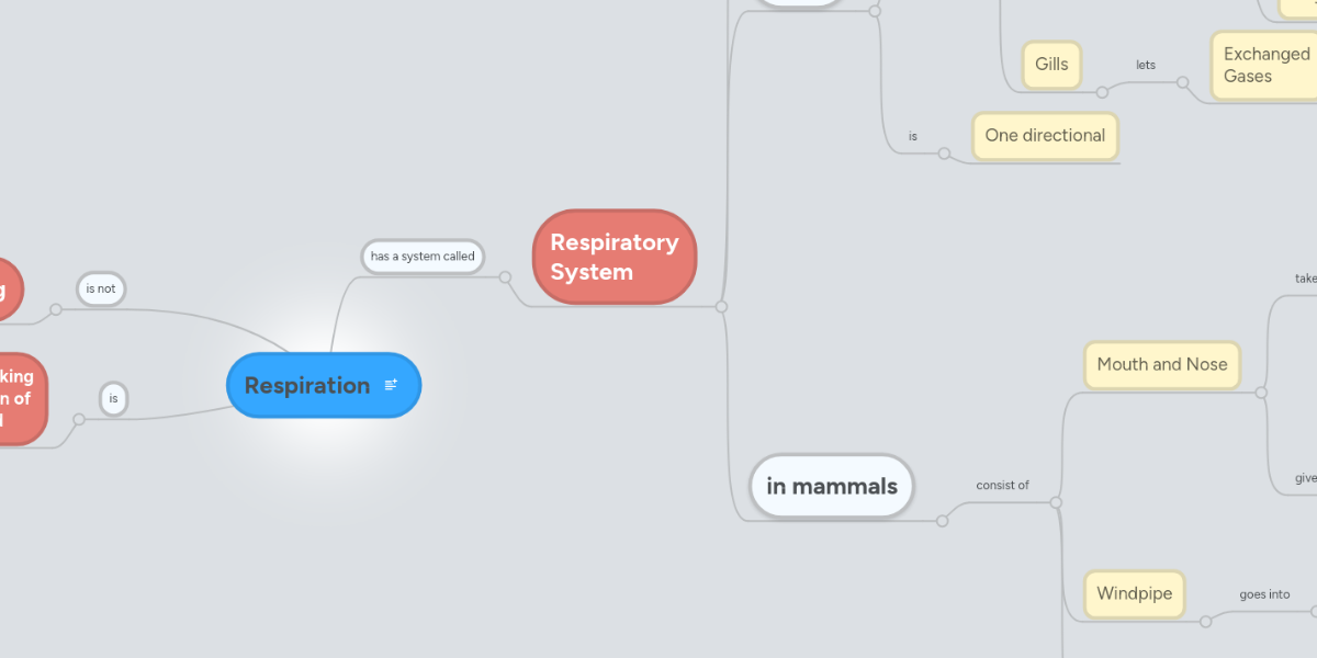 Respiration | MindMeister Mind Map